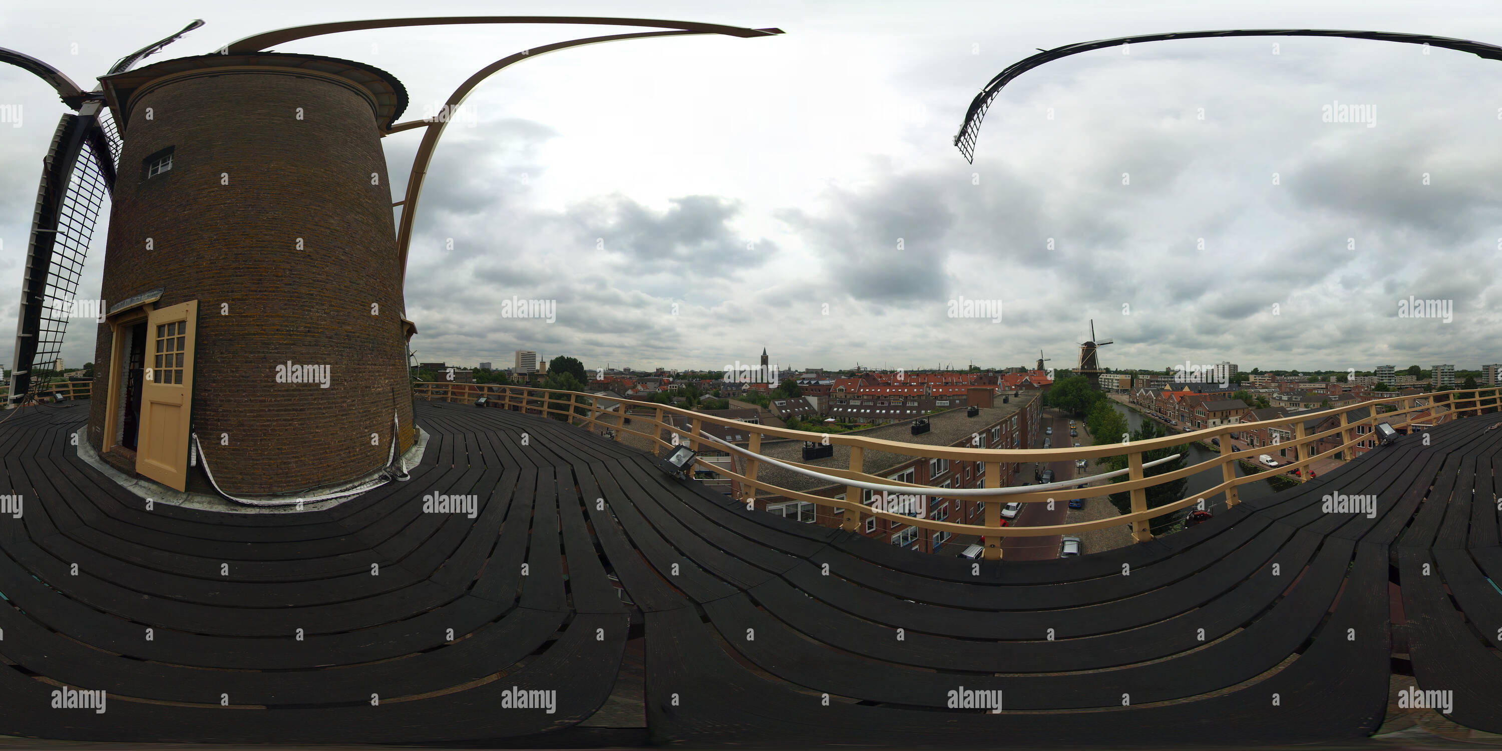 Palmboom hi-res stock photography and images - Alamy