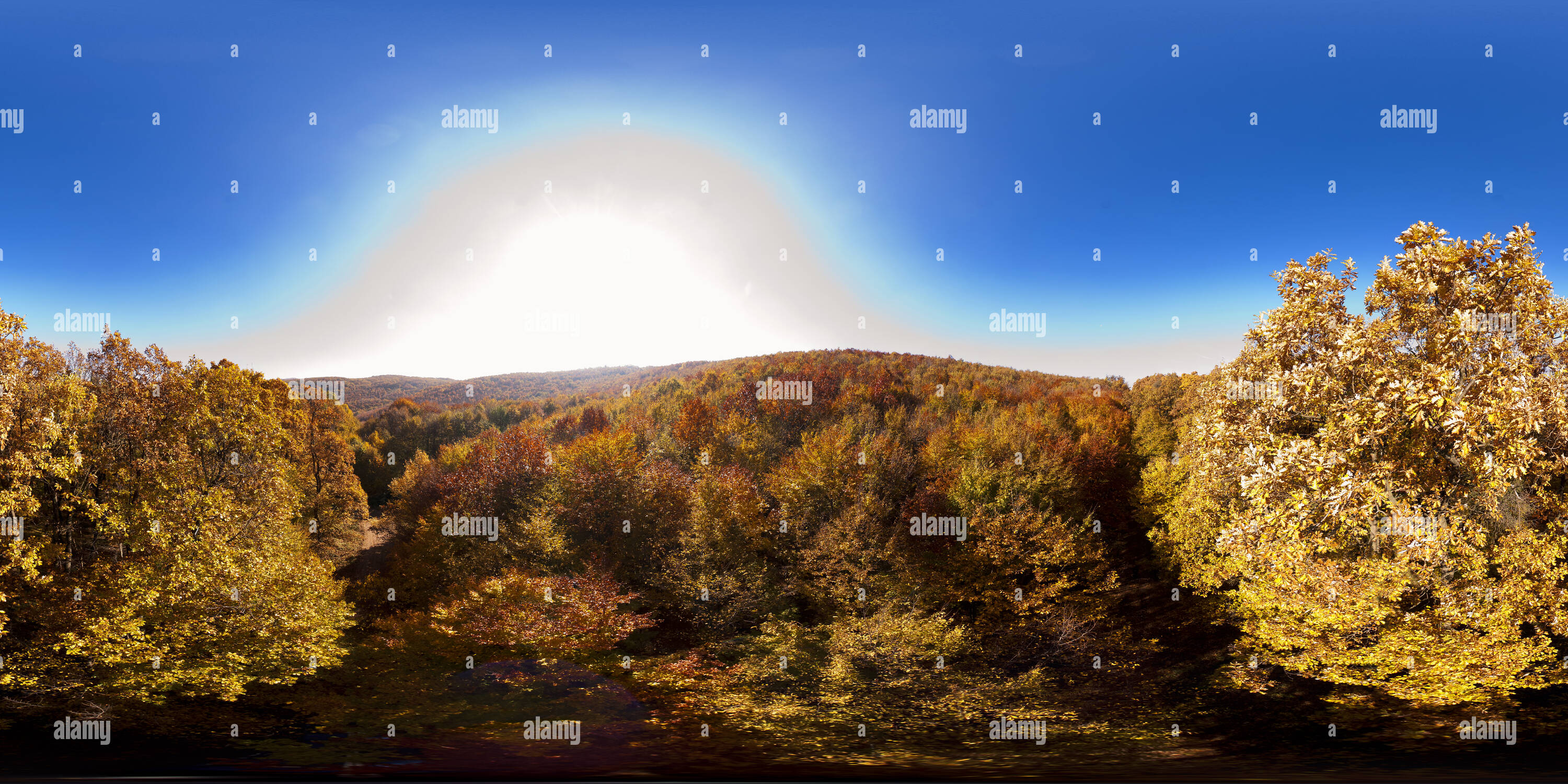 360° view of Above the trees in the Mecsek Mountains - Alamy