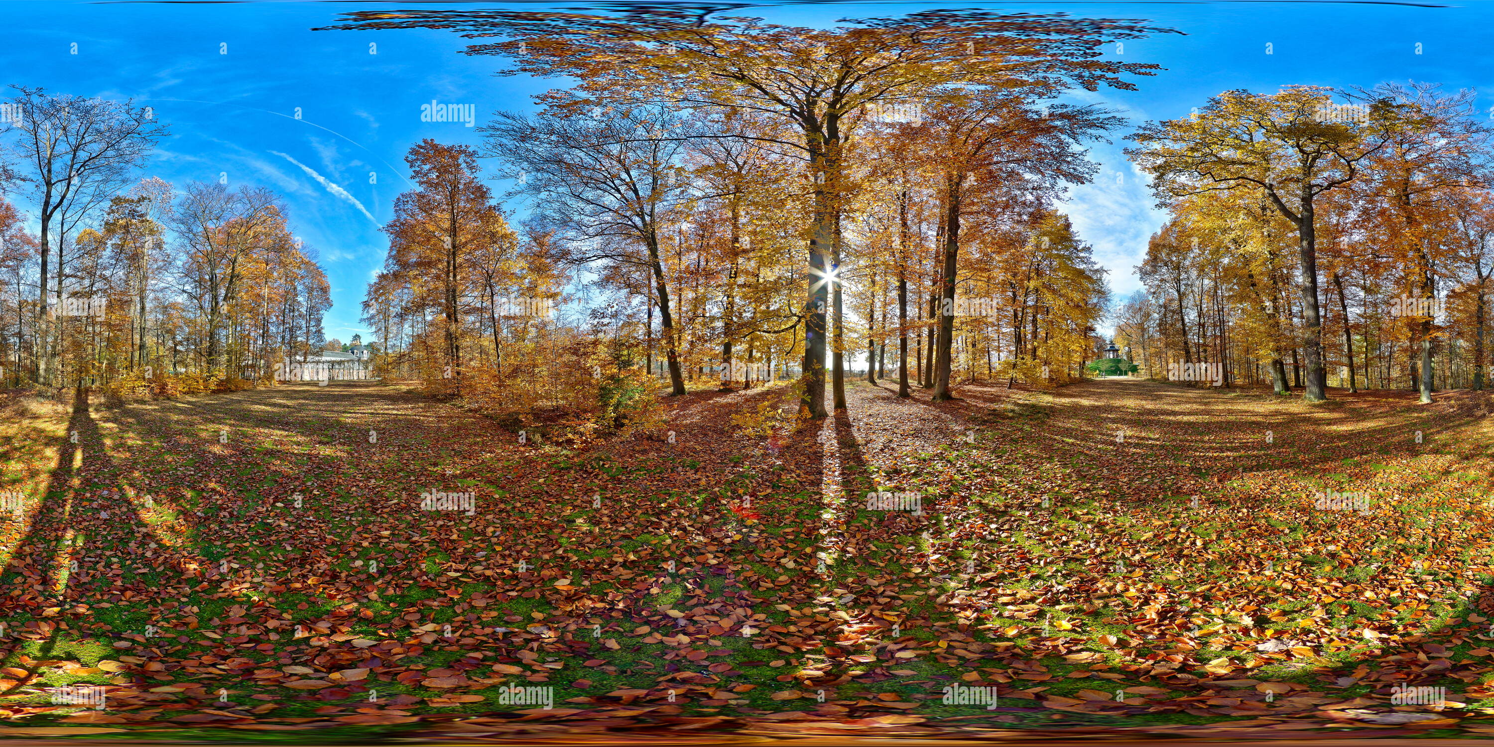 360° view of Hermitage Bayreuth - Clearing in the Forest - Alamy
