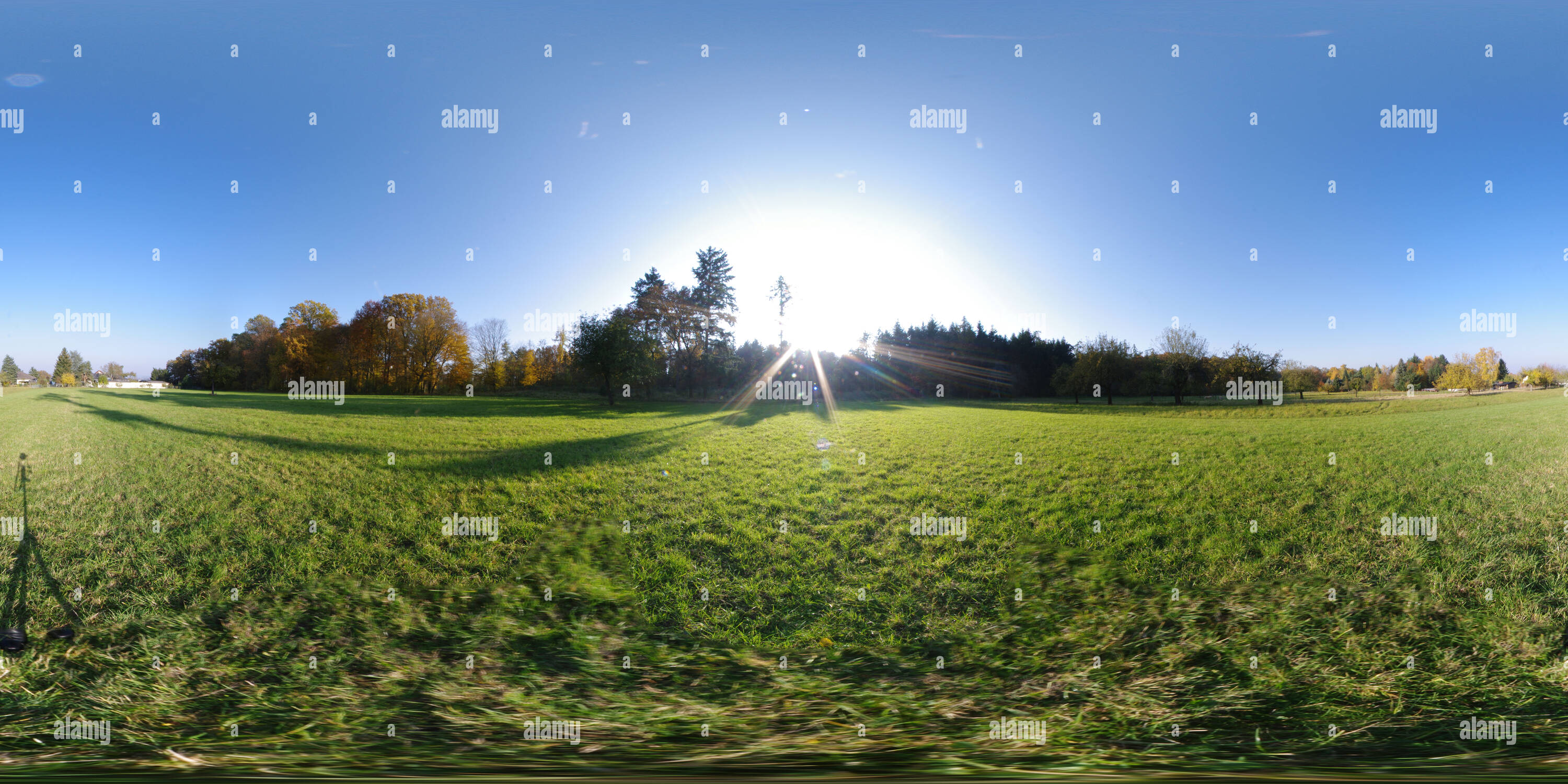 360° view of Field near Lich with appletrees, Hessen, Germany - Alamy