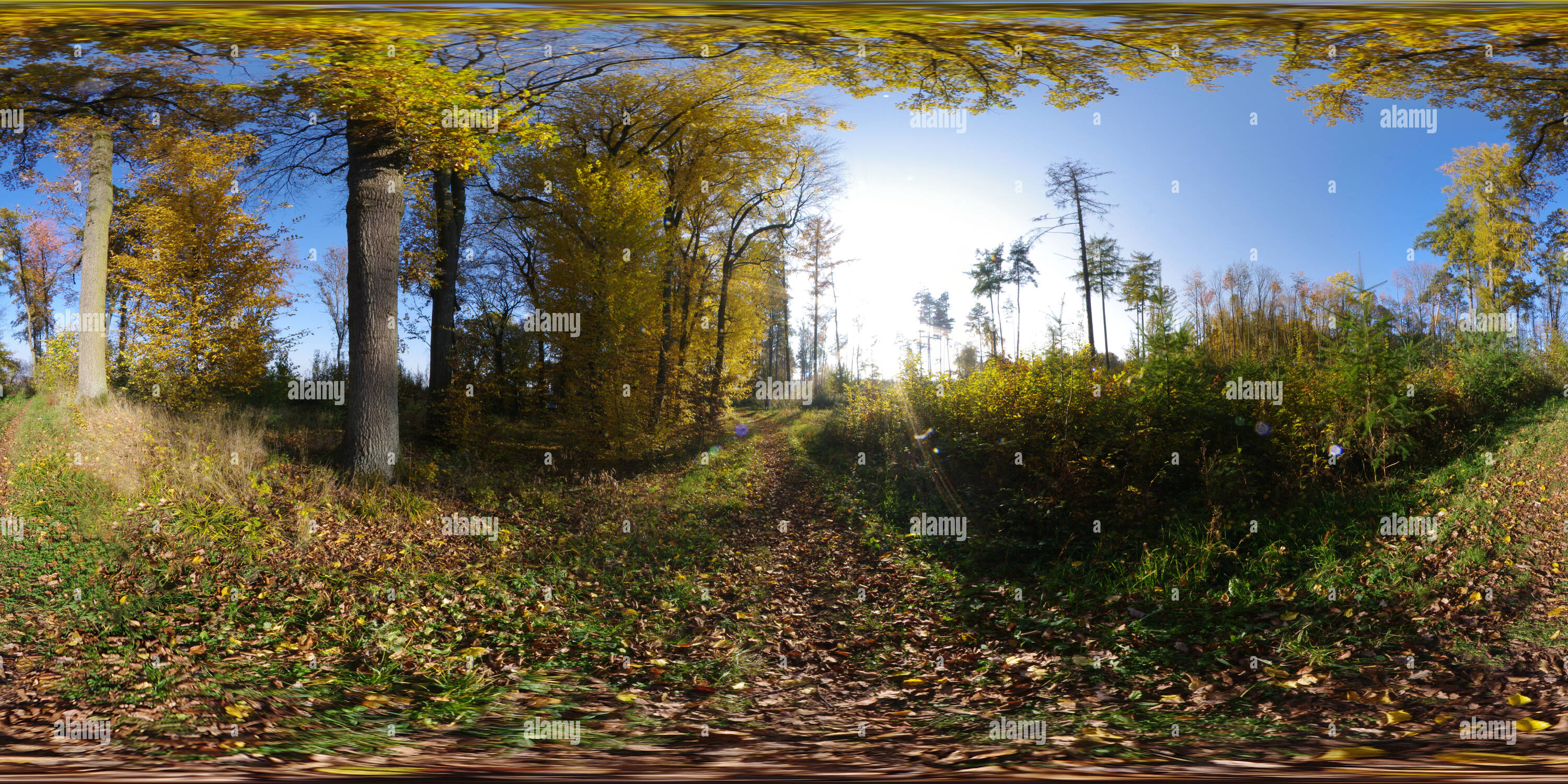 Lich hessen hi-res stock photography and images - Alamy