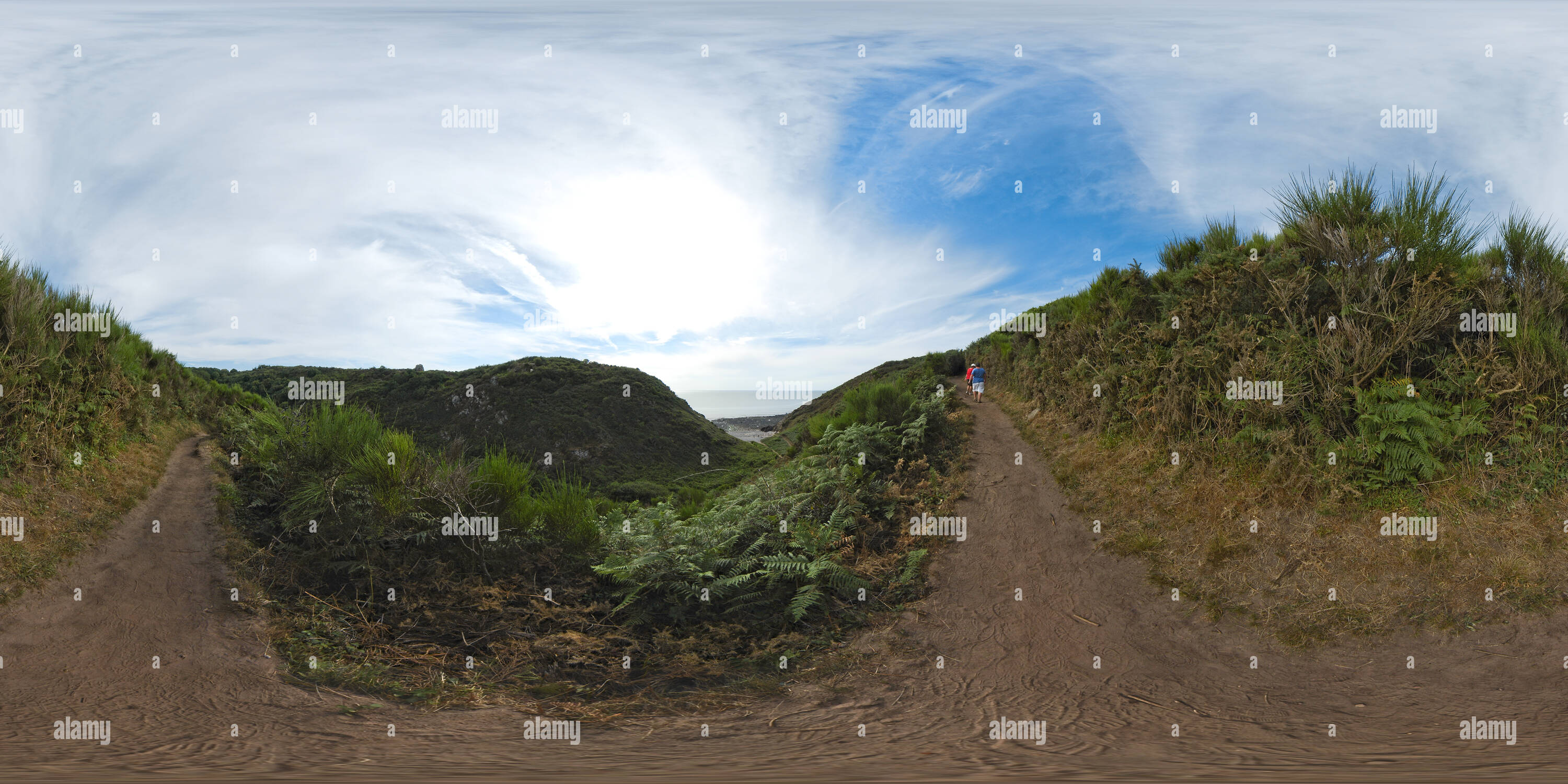 Carolles hi-res stock photography and images - Alamy