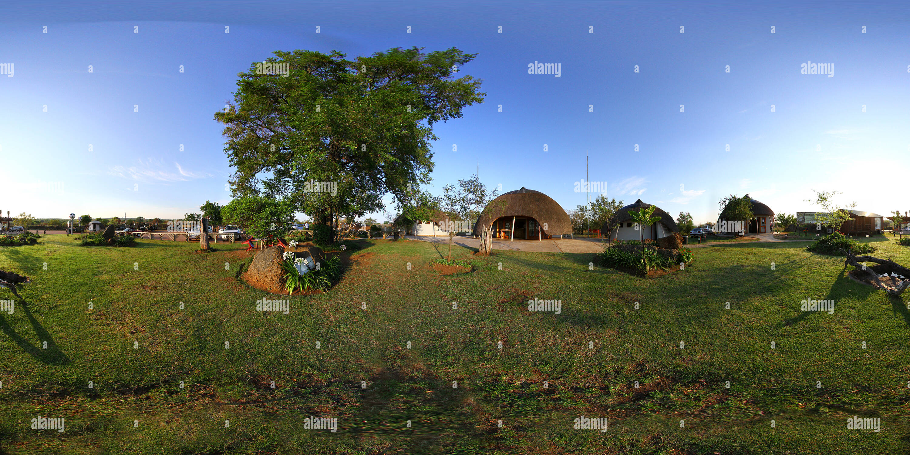 Phabeni hi-res stock photography and images - Alamy