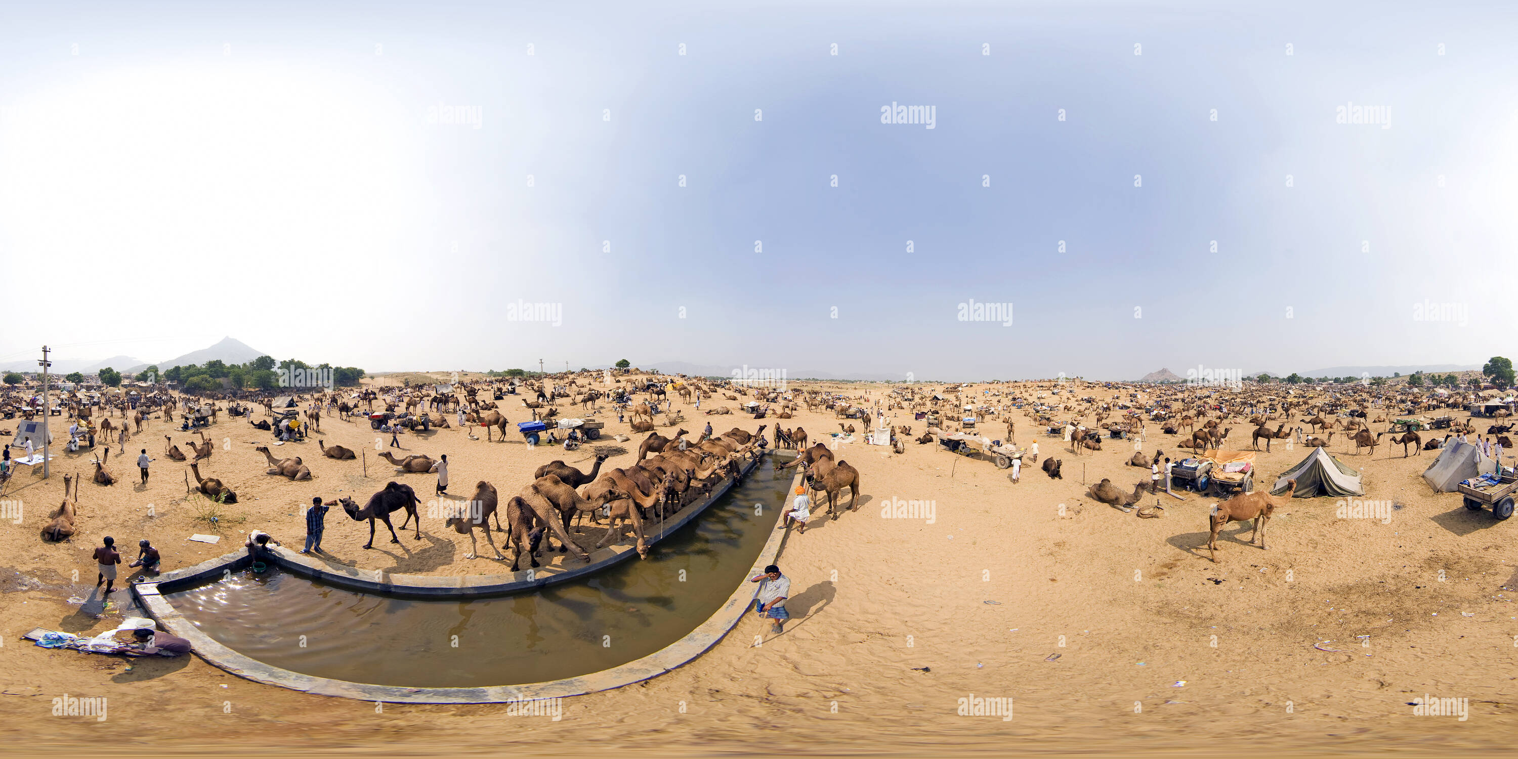 360° view of Pushkar Camel Fair - Alamy