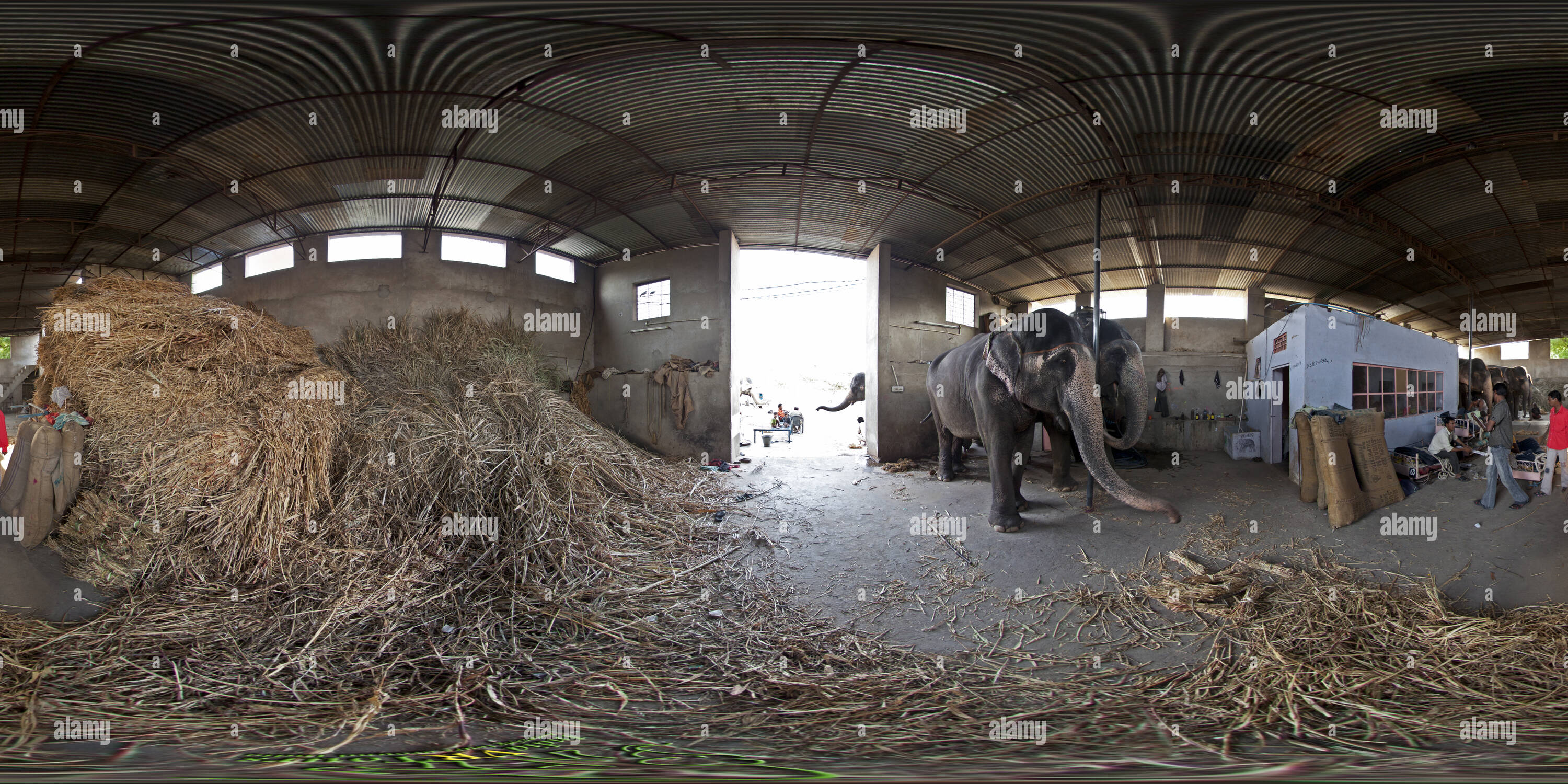 360° view of Elephant House, View from Inside - Alamy