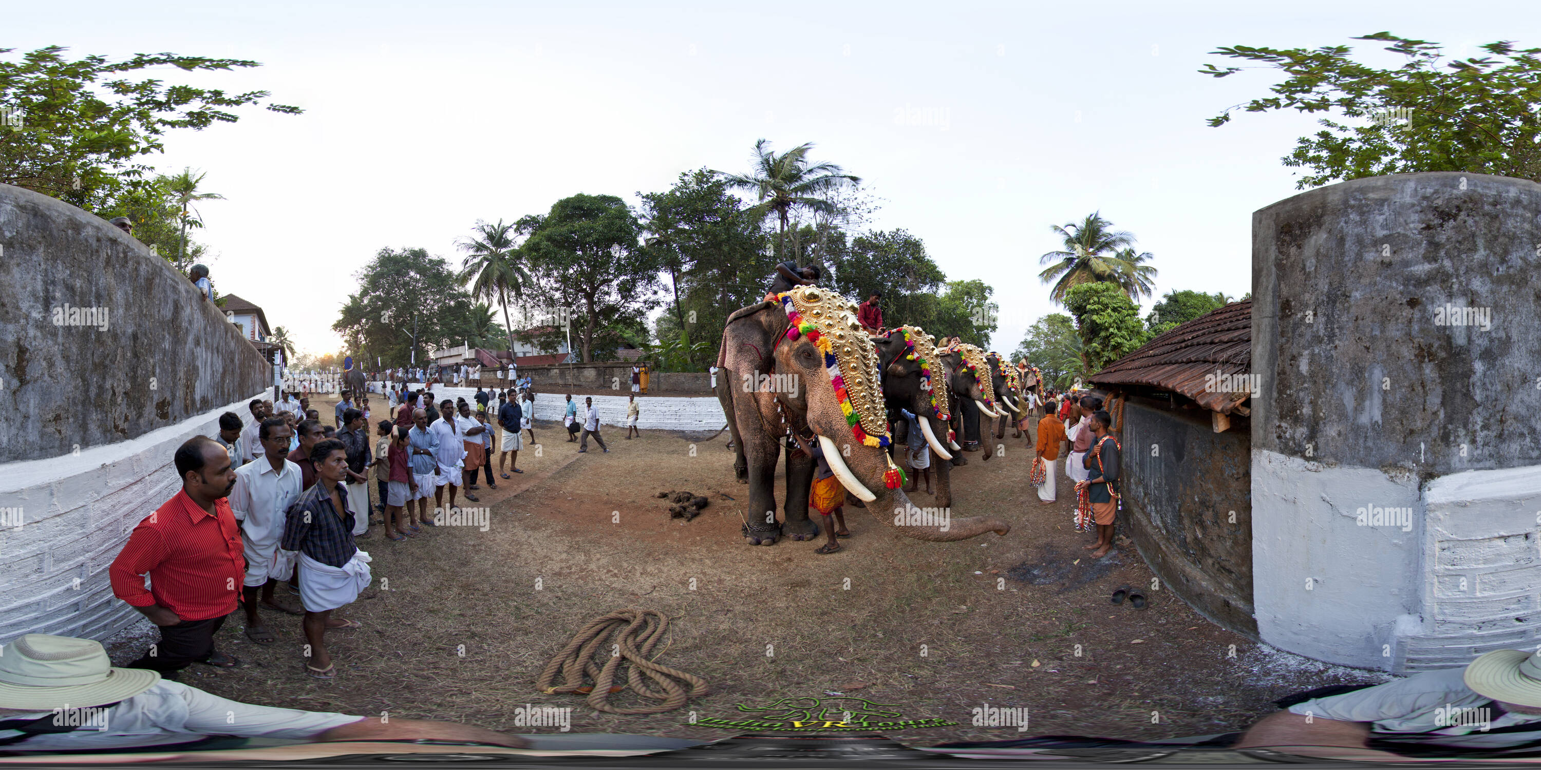 360° view of Peruvanam Mahadeva Temple Pooram, Getting Elephants Ready ...