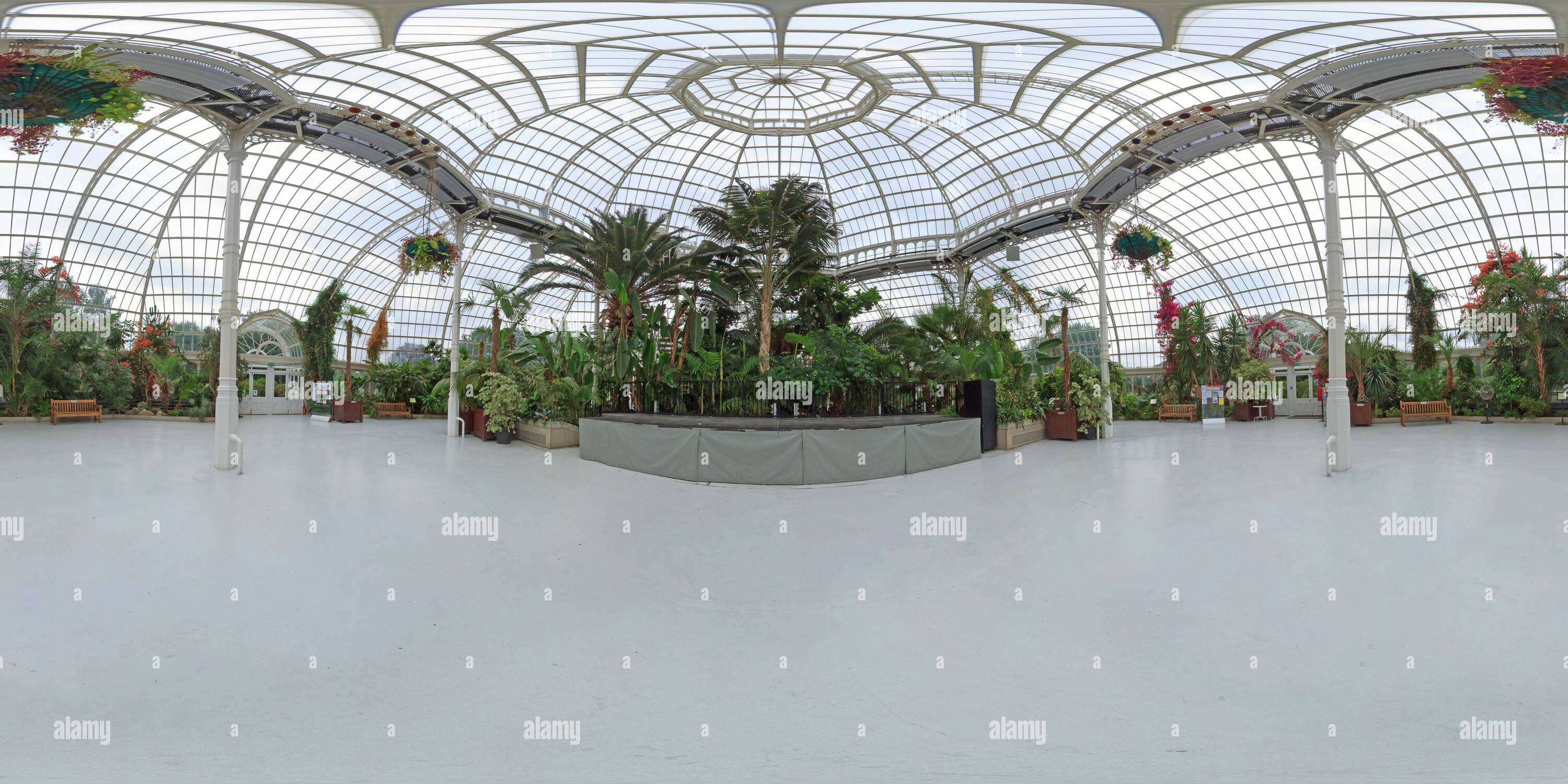 360° view of Sefton Park Palm House (Interior - Alamy
