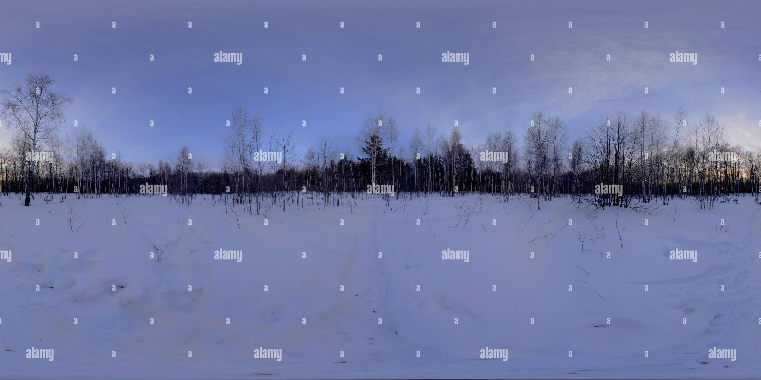 360° view of Winter sunset in the woods - Alamy