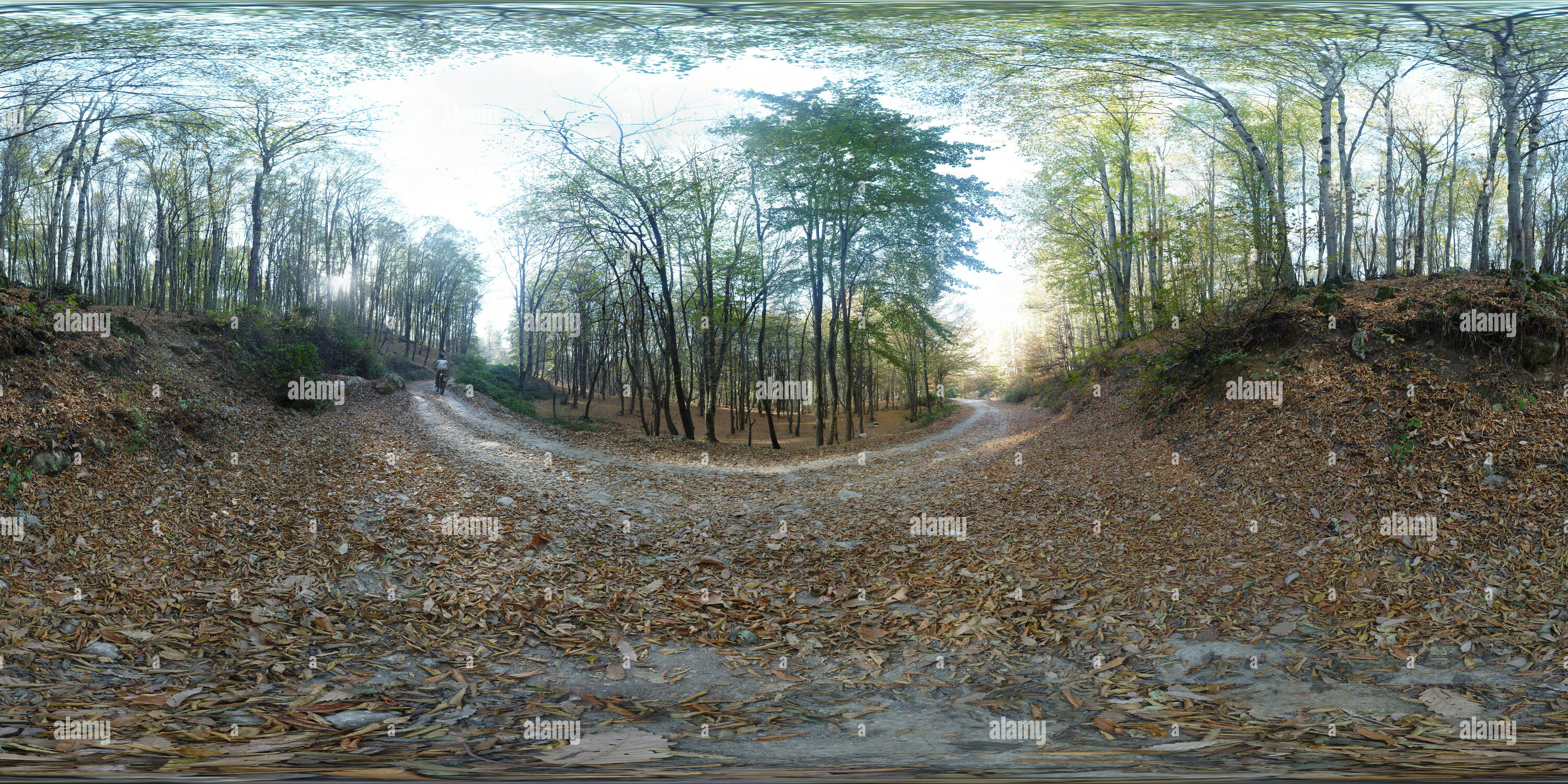 360° view of Abbas Abad Jungle in Fall - Alamy