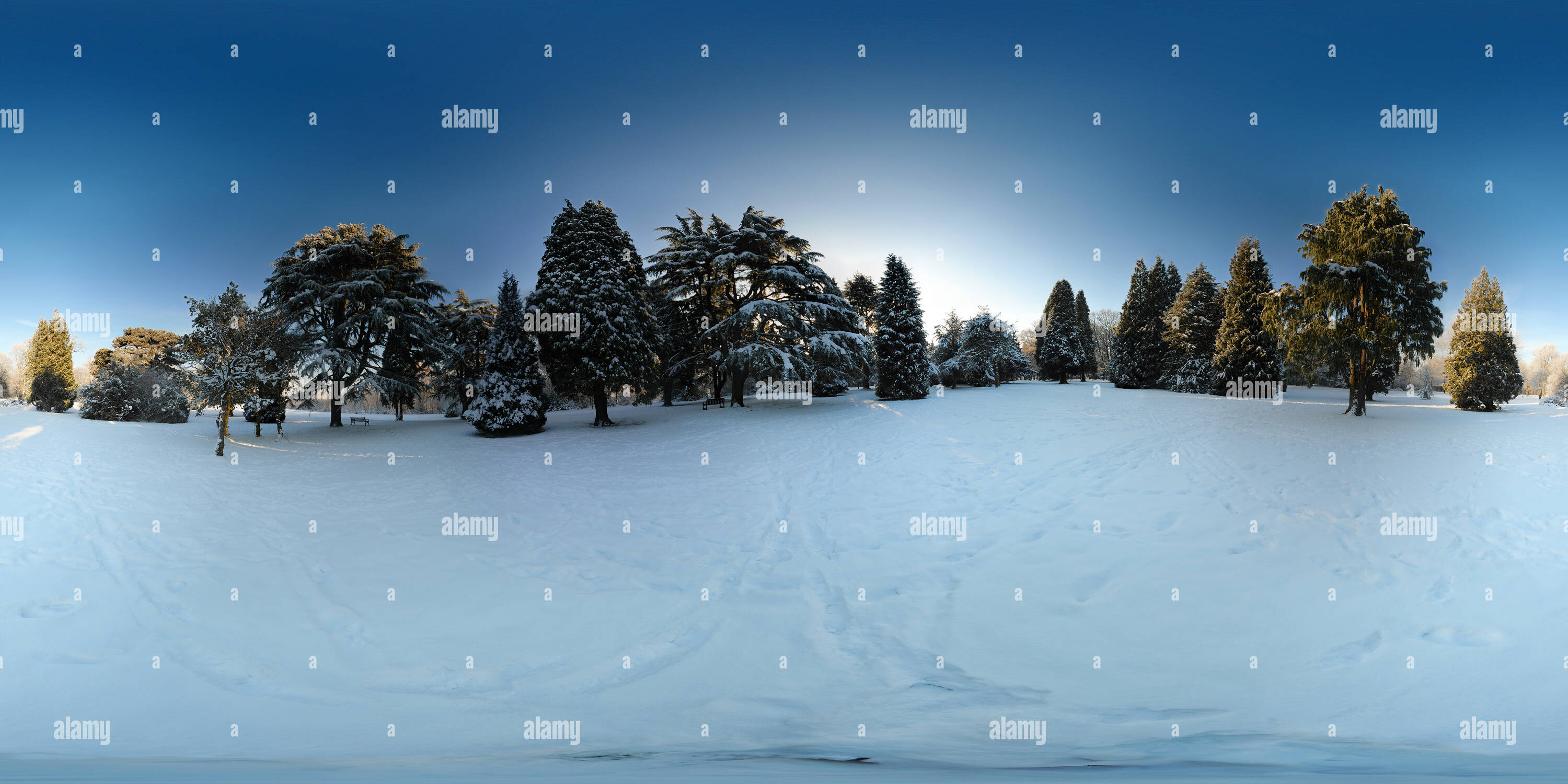 Ormeau park hi-res stock photography and images - Alamy