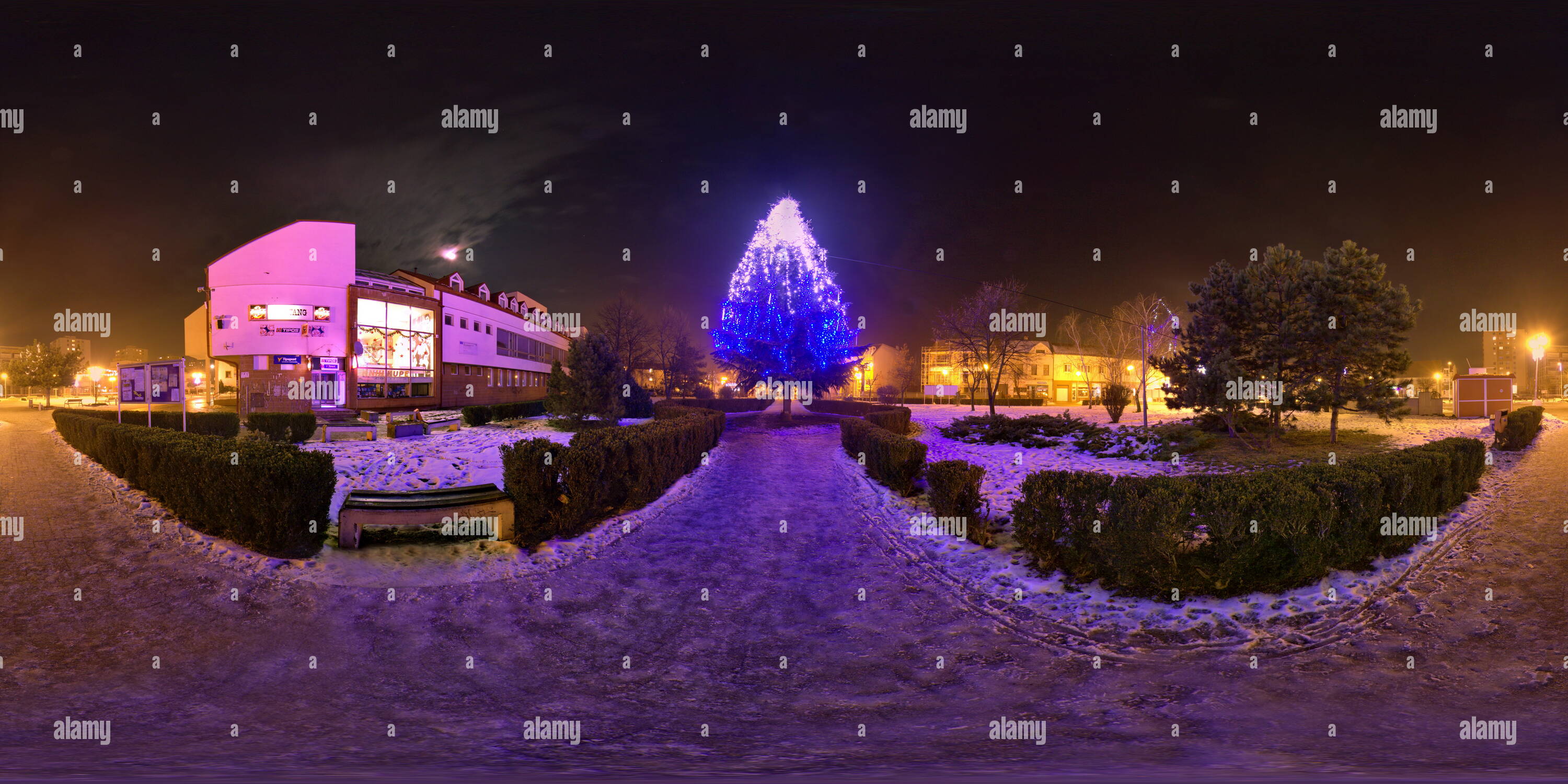 360° view of Christmas trees in Senec - Alamy