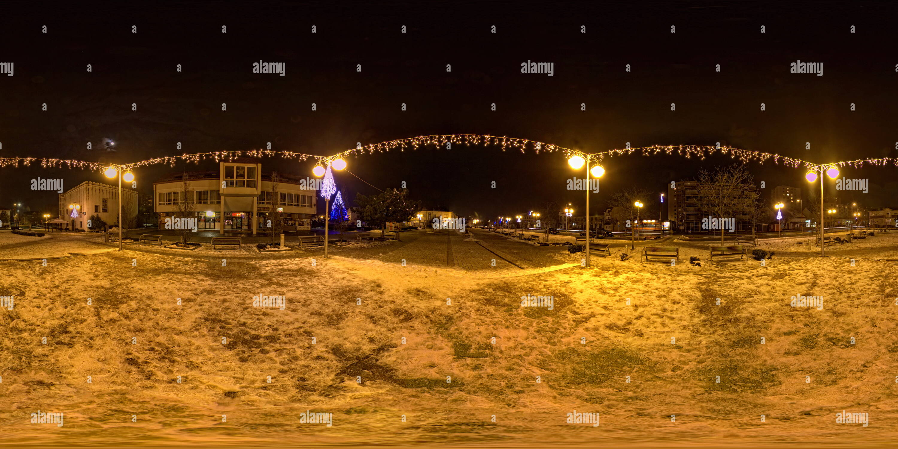 360° view of Christmas trees in senec - Alamy