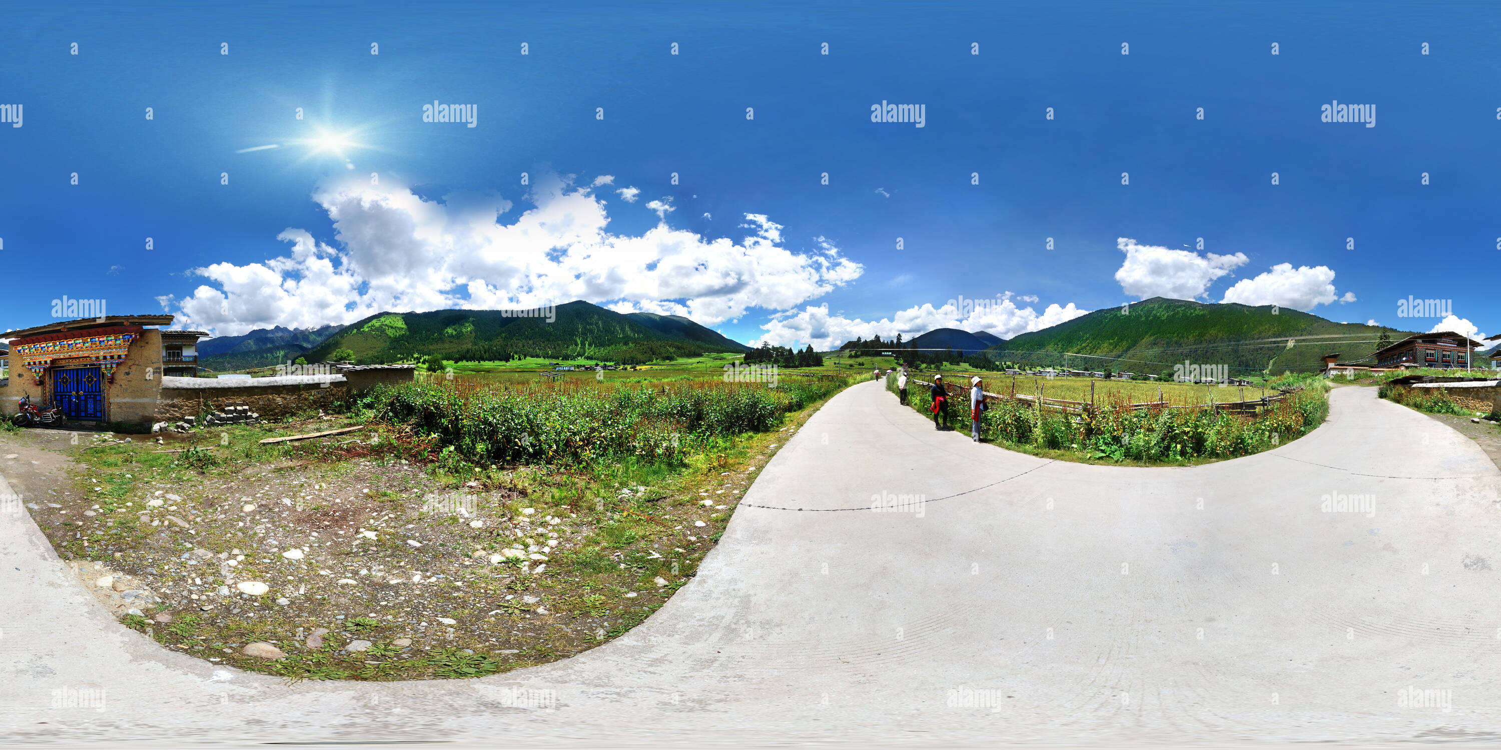 360° view of Lulang Forest Sea 3 Nyingchi Tibet - Alamy
