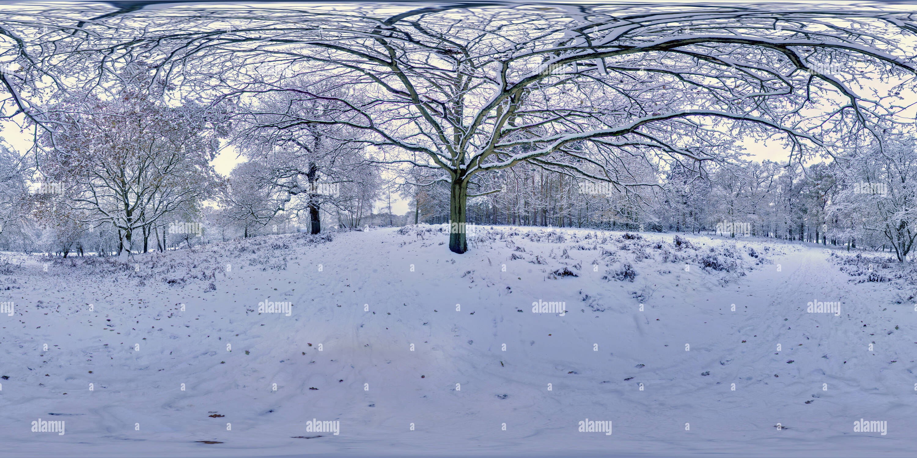 360° view of Great Park Snow - Alamy