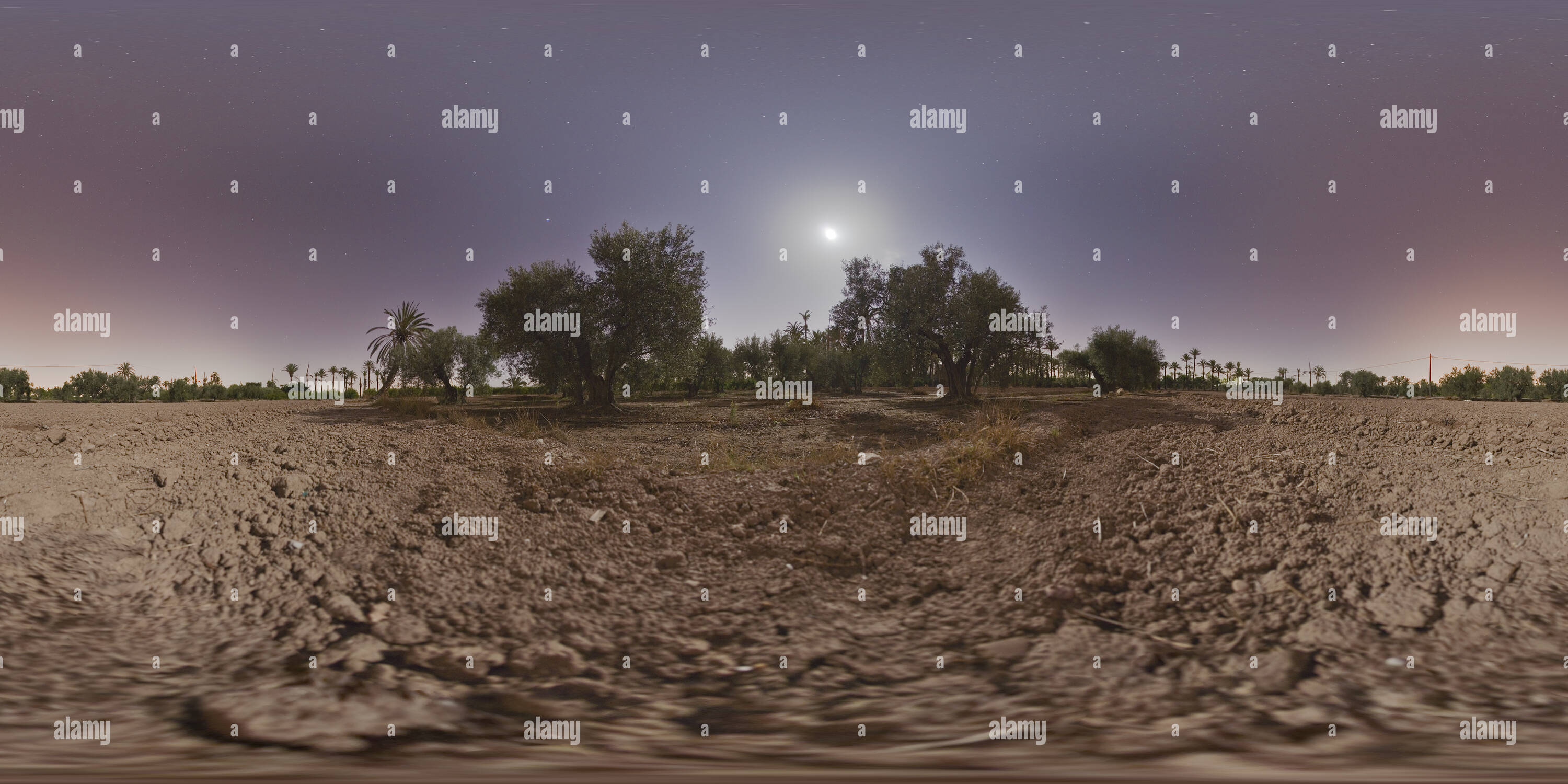 360° view of Moonlight takes 08 2010: Farming plot - Alamy