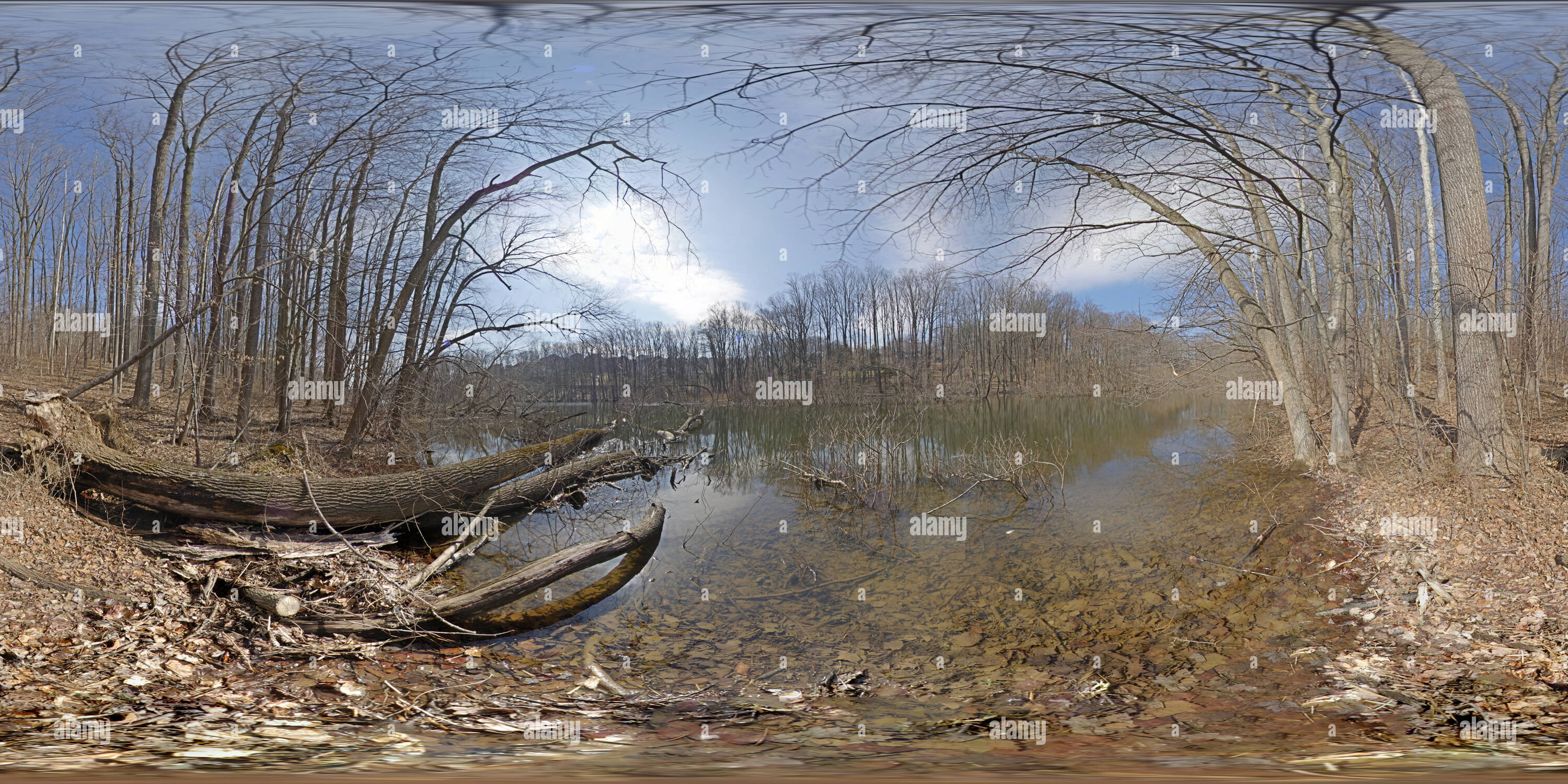 Springton hi-res stock photography and images - Alamy