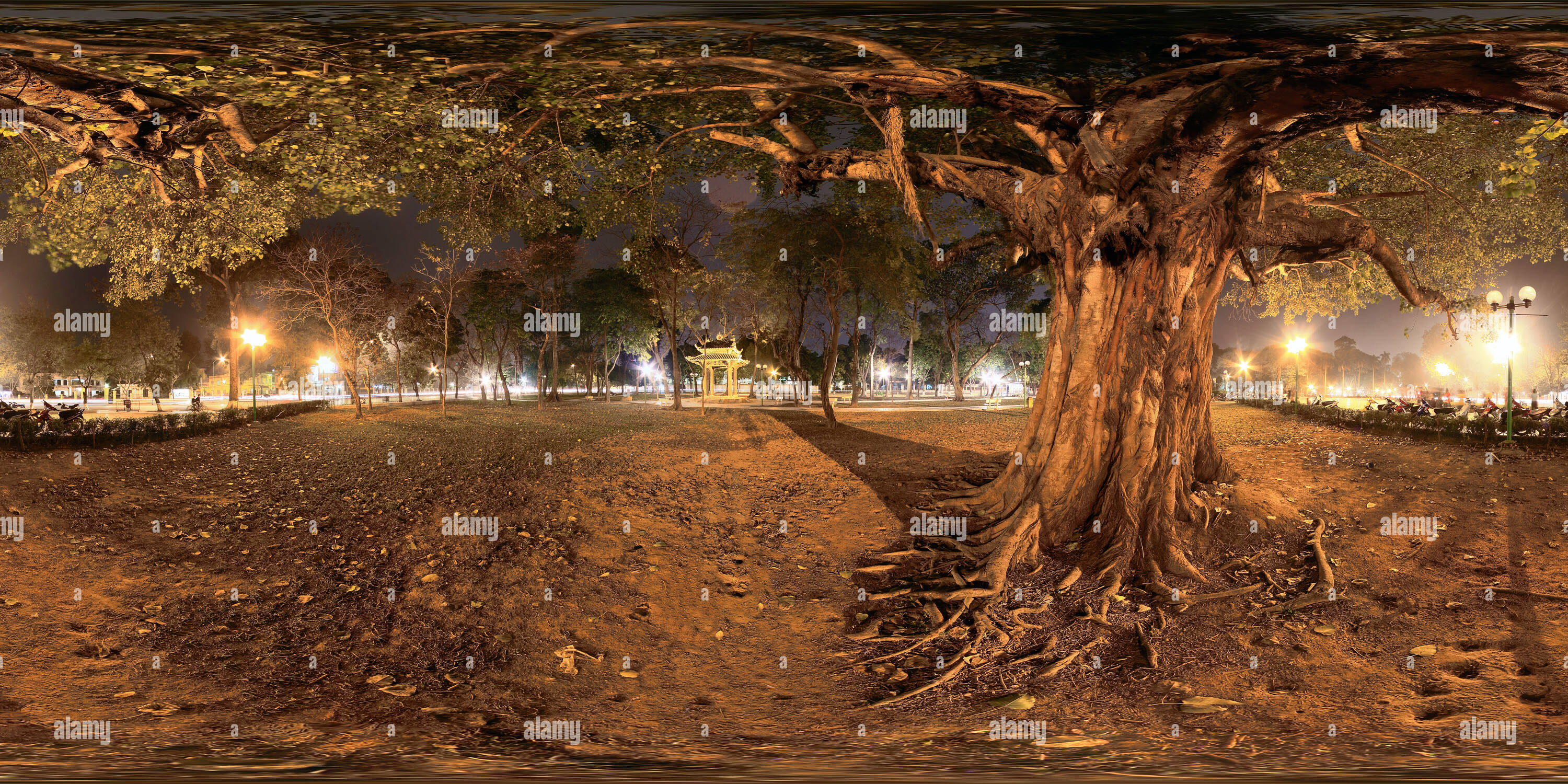 360° view of The ancient tree at Lenin Park, Hanoi - Alamy