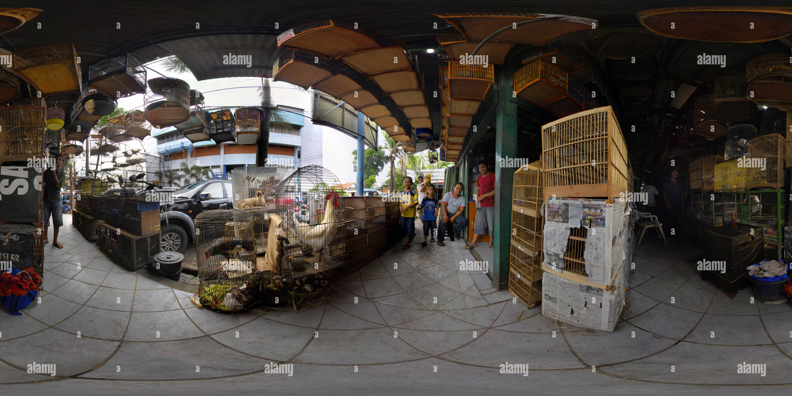 360° view of Bird Sellers, Pasar Pramuka, Jakarta - Alamy