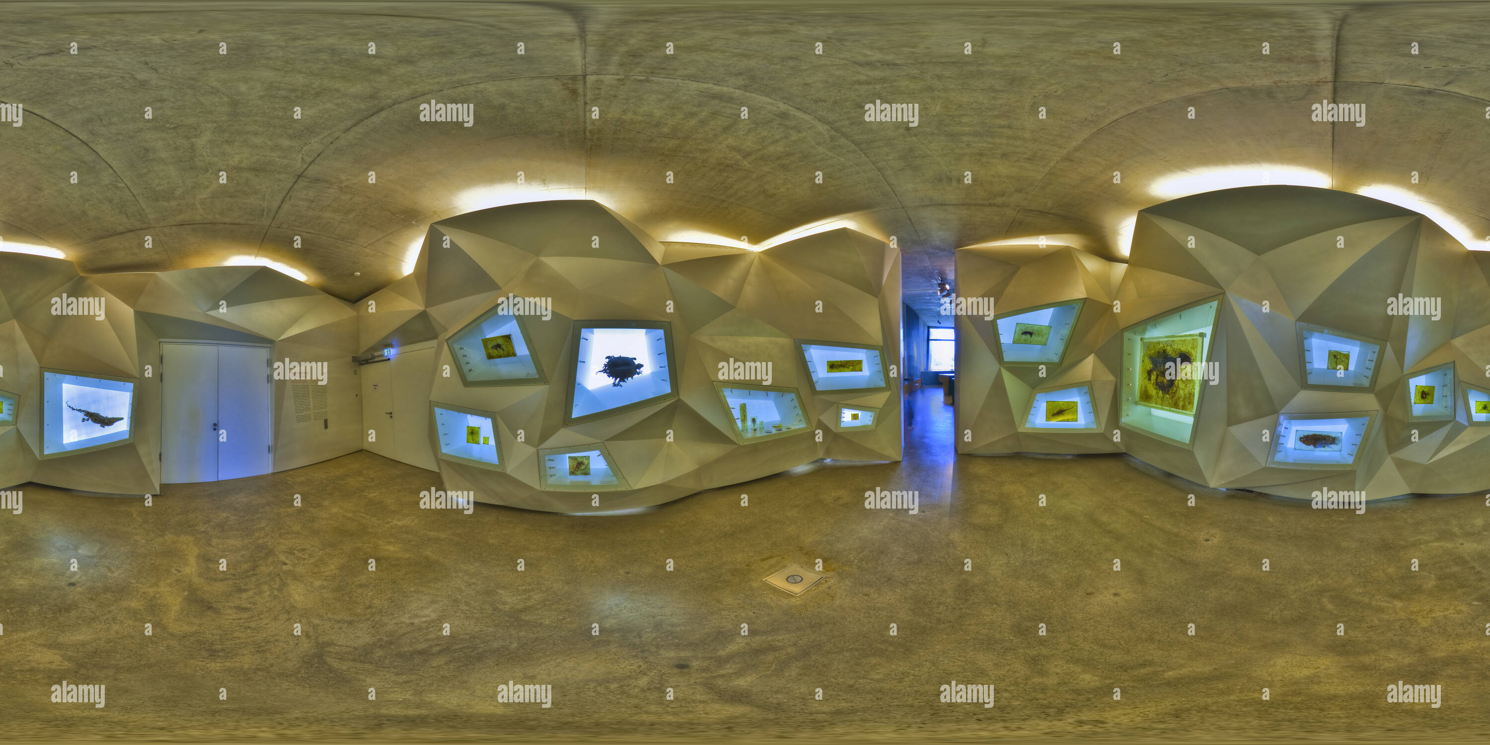 360° view of Grube Messel Besucherzentrum - Alamy