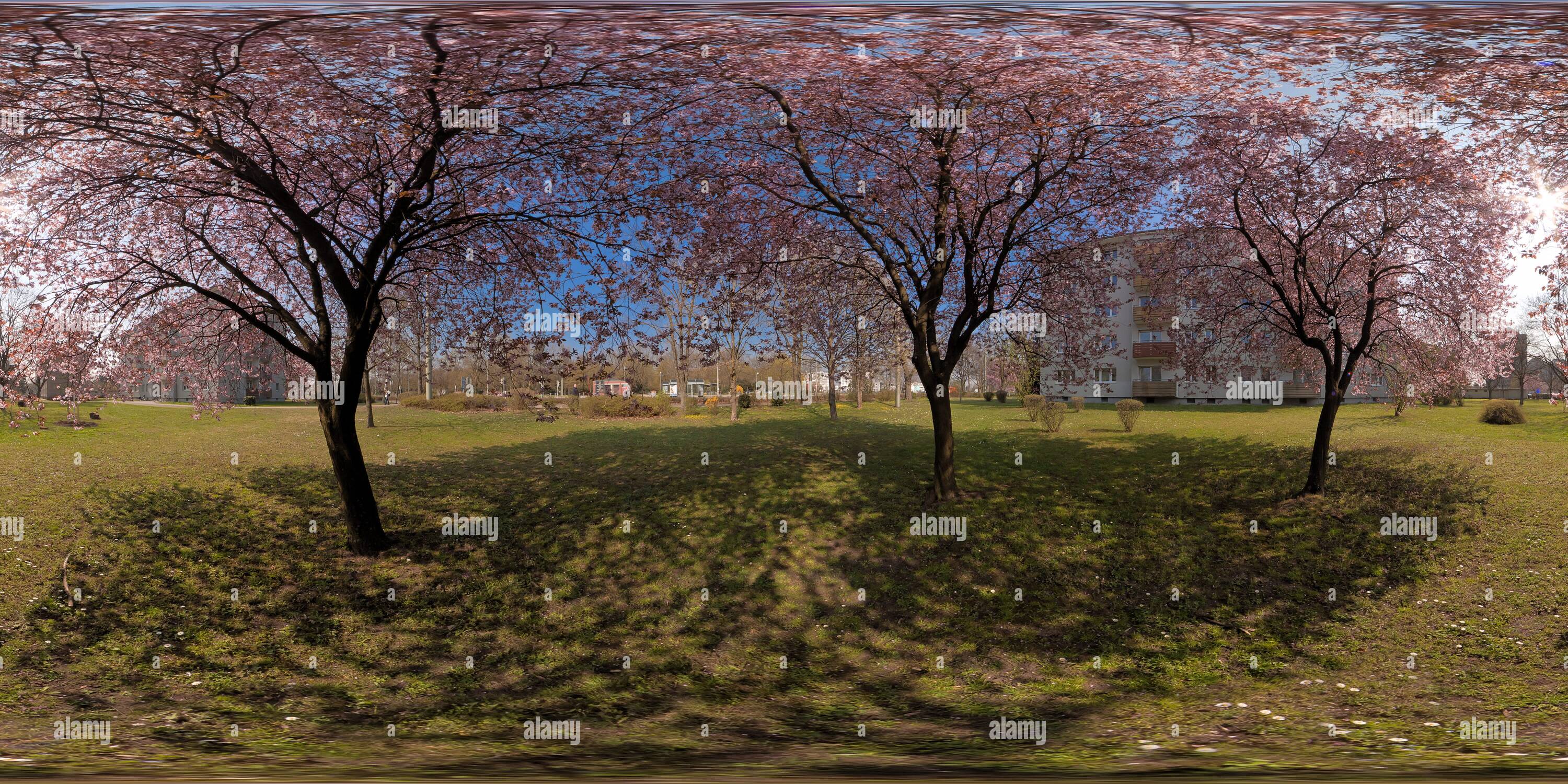 360° view of springs in Karlsruhe Germany - Alamy