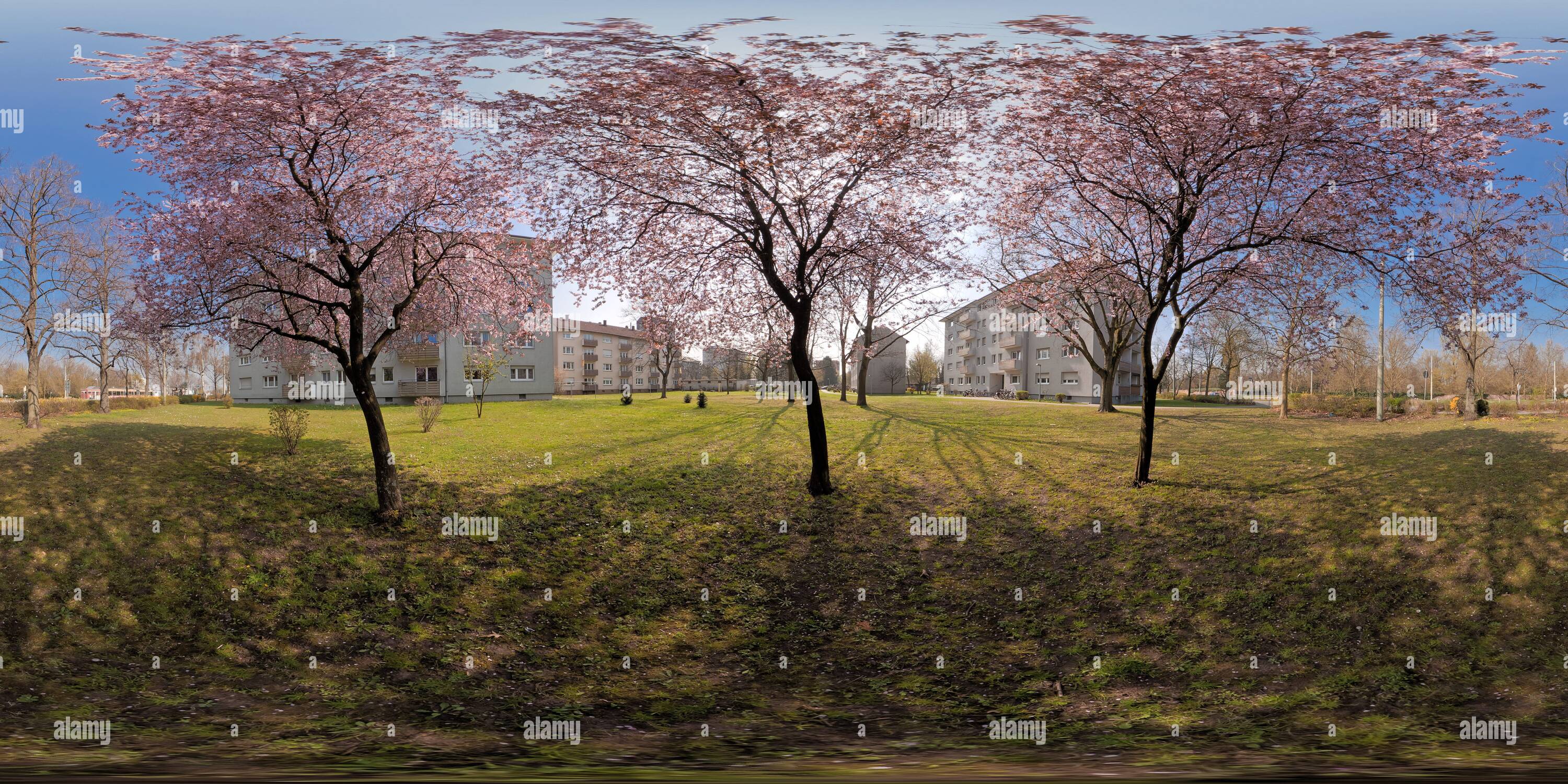 360° view of springs in karlsruhe - Alamy