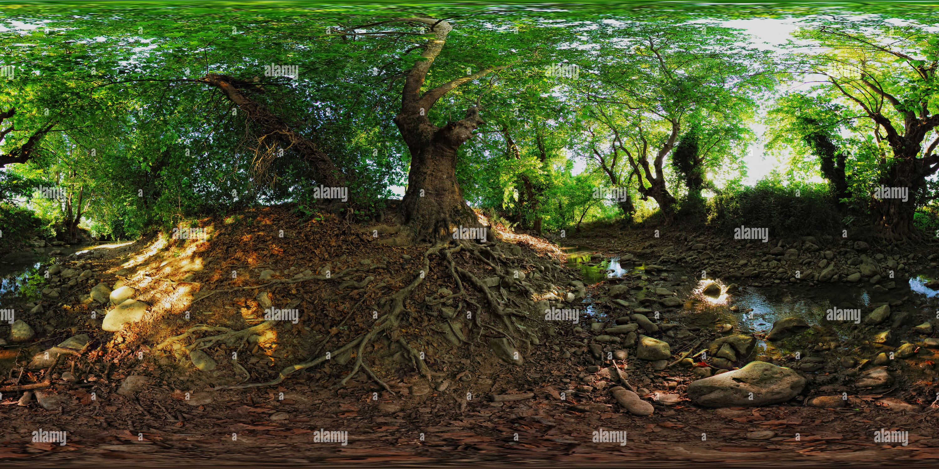 Naip stream hi-res stock photography and images - Alamy