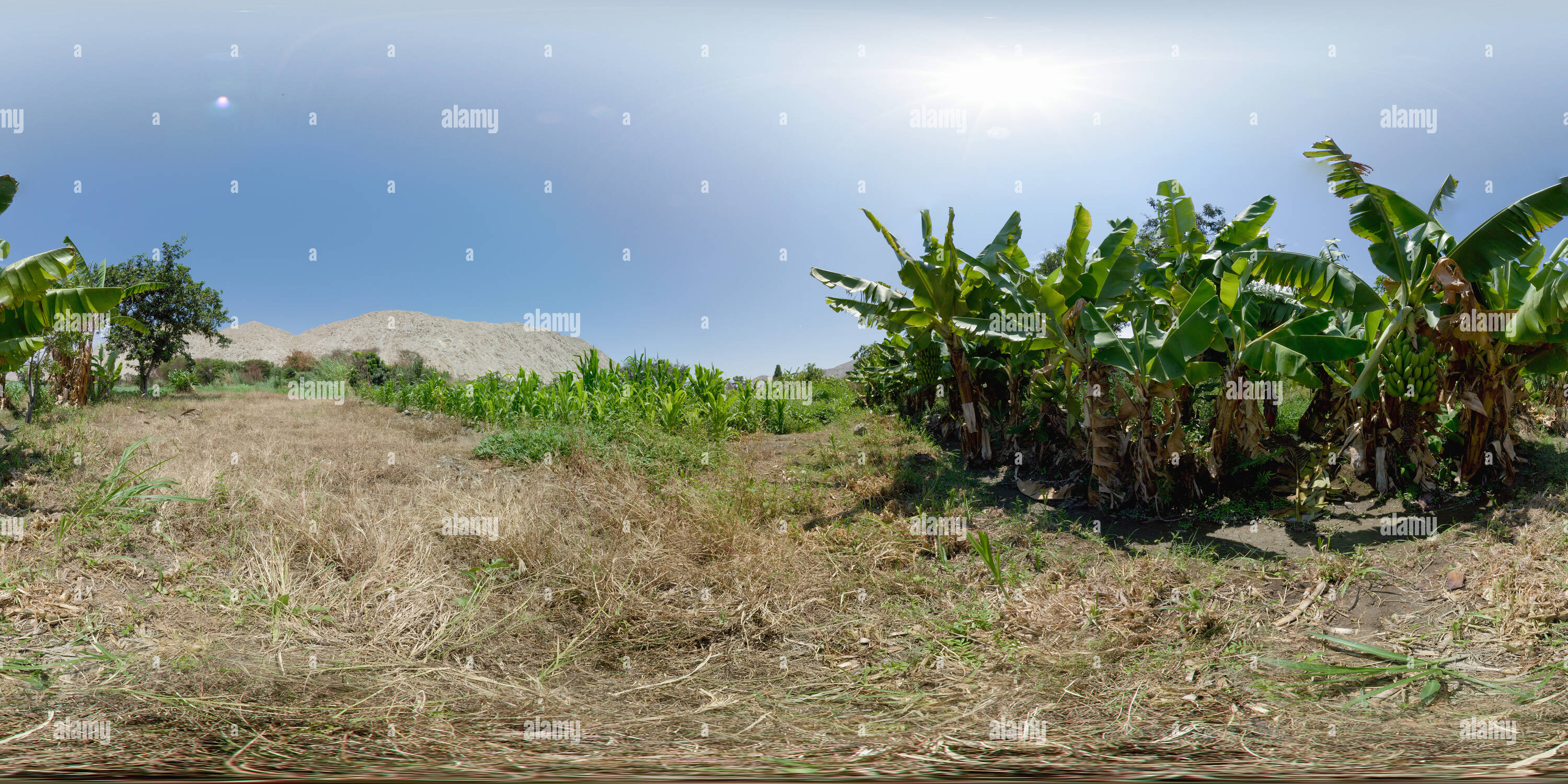 Galero hi-res stock photography and images - Alamy