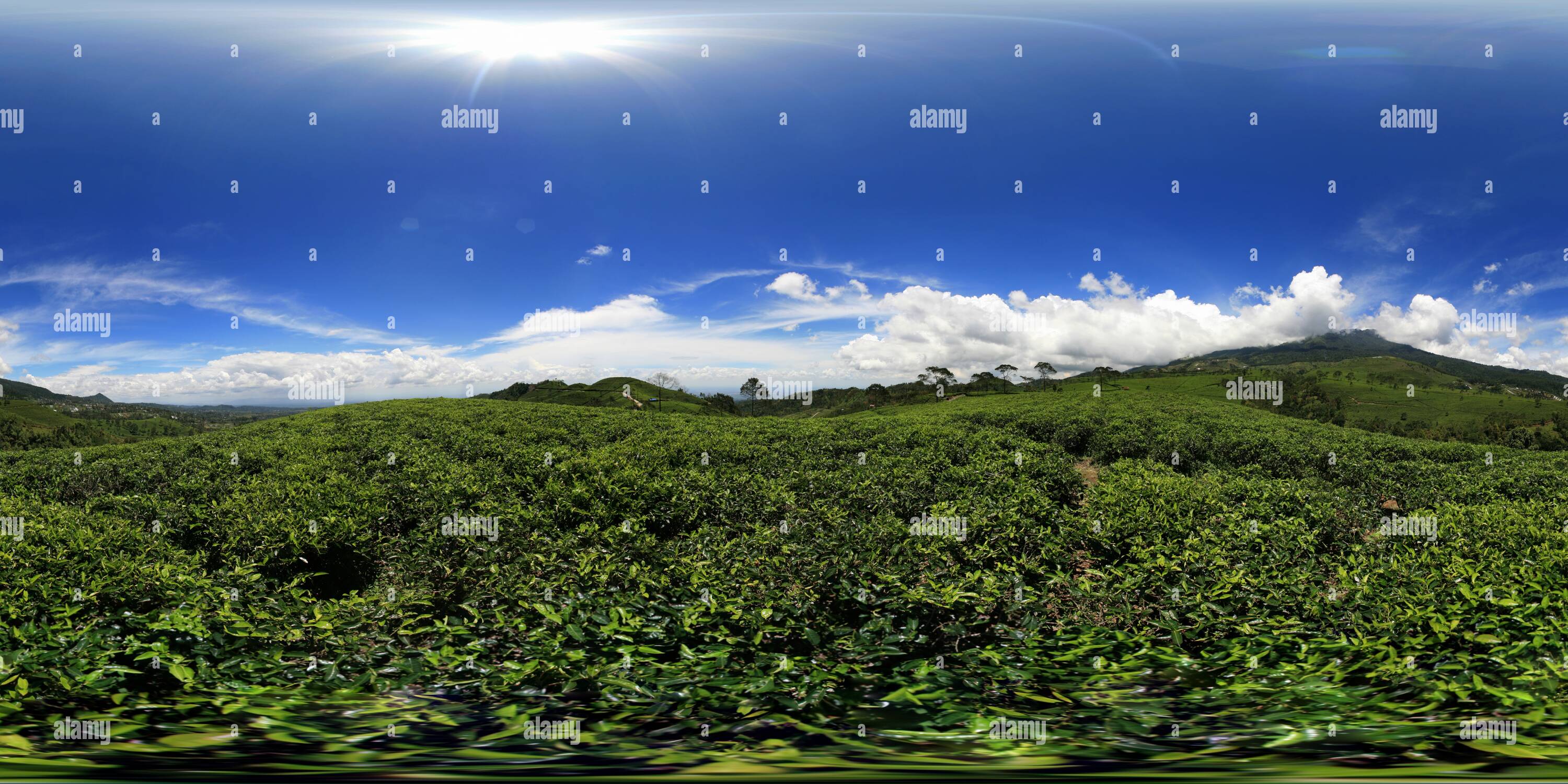 360° view of Kemuning, Mt Lawu - Alamy