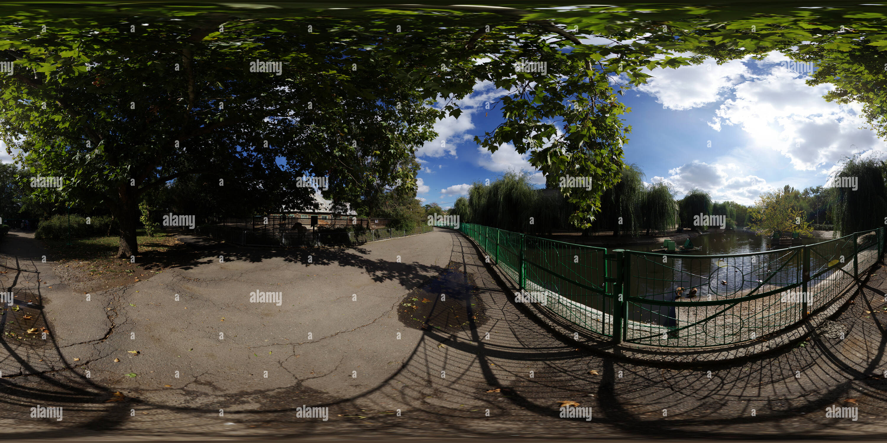 360° view of Ukraine Nikolaev zoo horse - Alamy