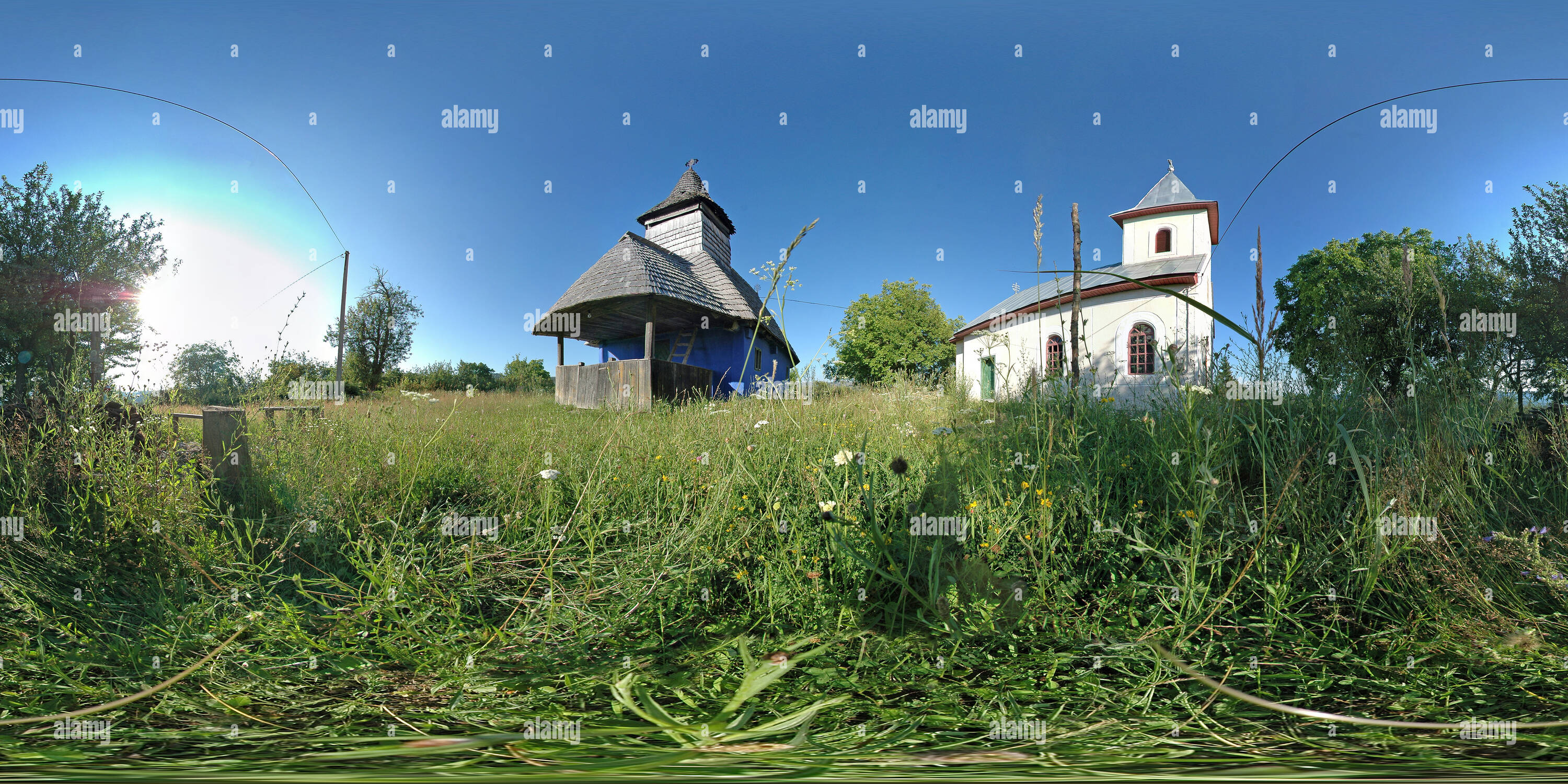 Ants perspective hi-res stock photography and images - Alamy