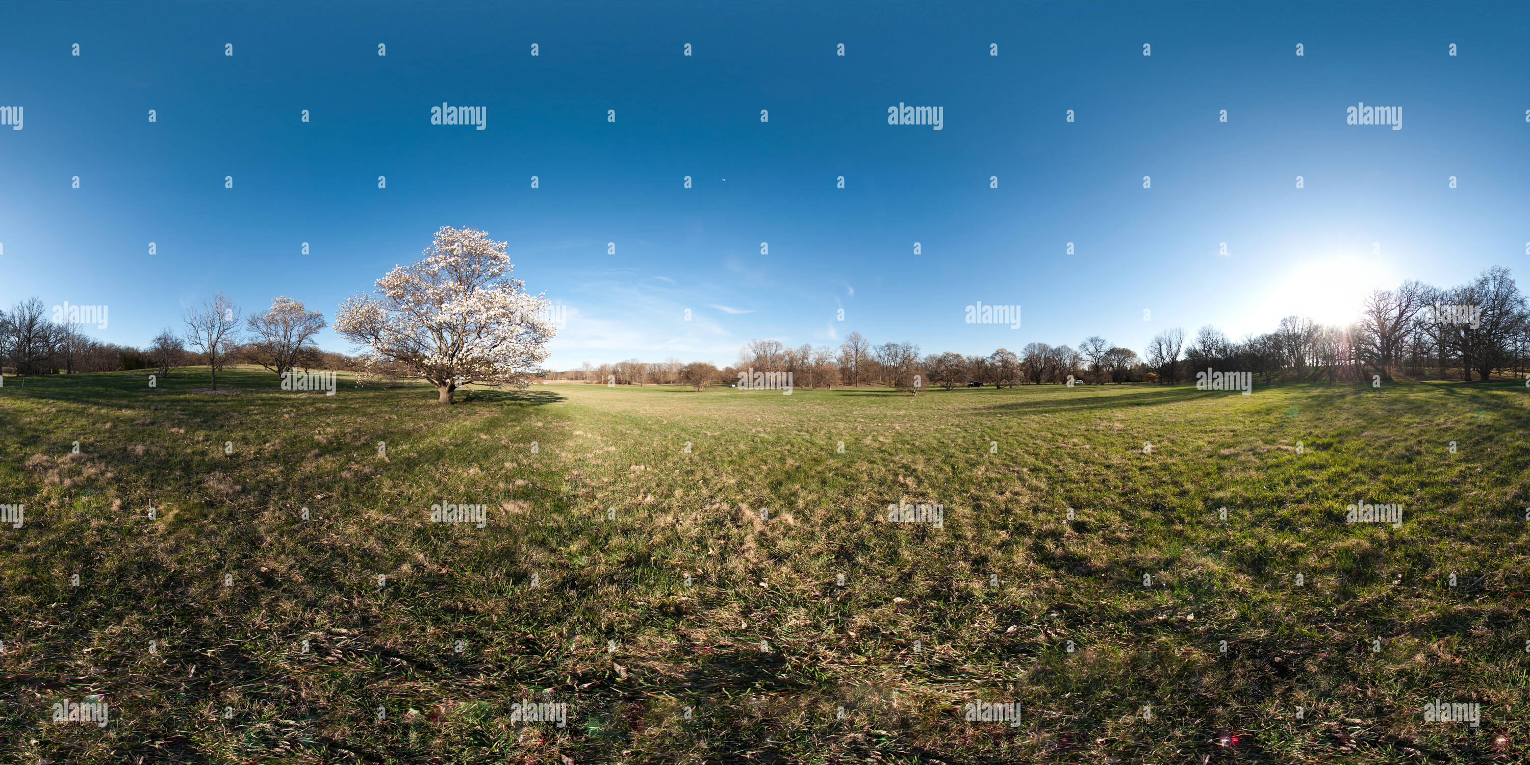 360° view of Spring At The Arboretum - Alamy
