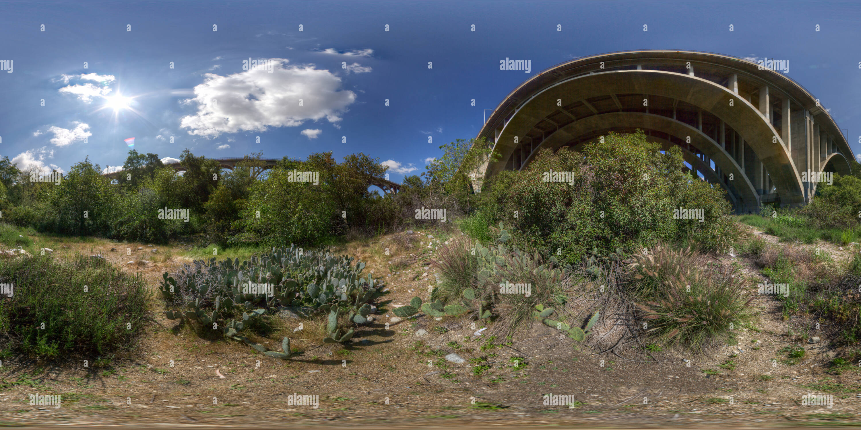 360° view of In the heart of the wilderness - Pasadena CA - Alamy
