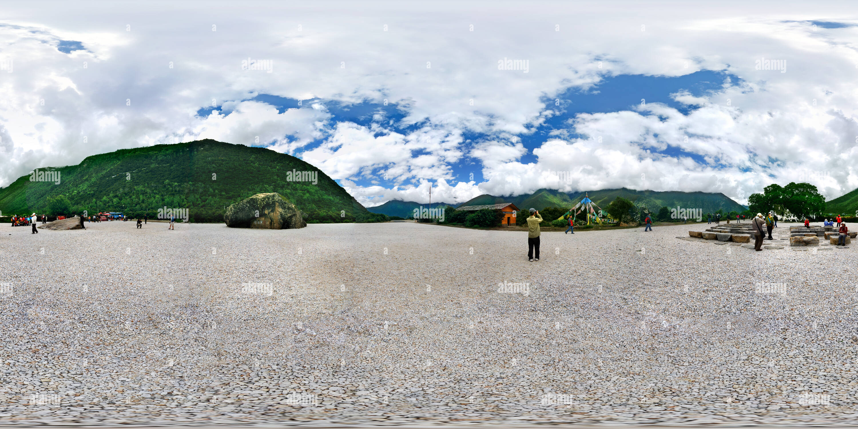 360° view of Millennium big mulberry in yaluzangbu - Alamy