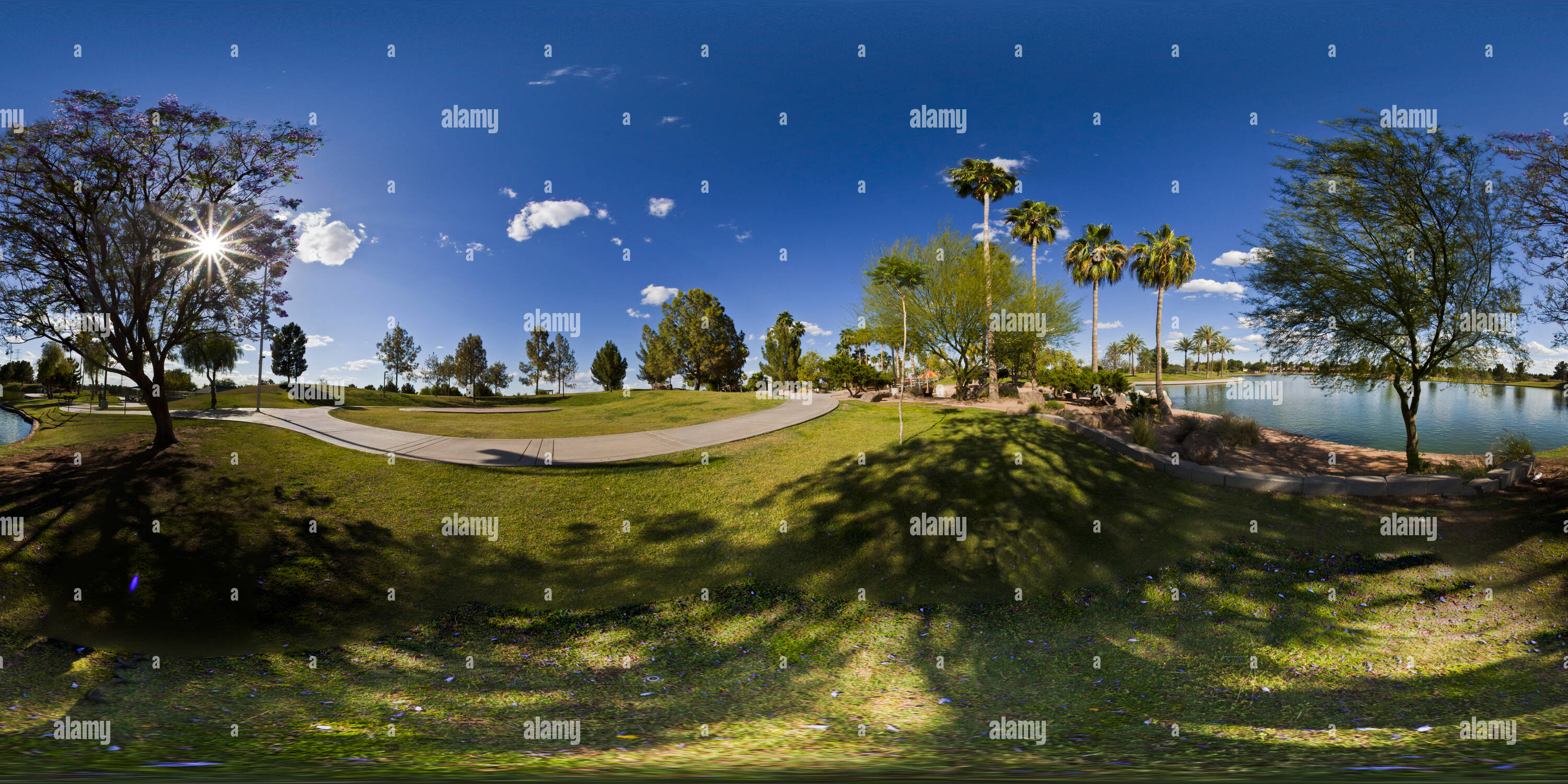 360° view of Freestone Park Lake, Gilbert, Arizona USA - Alamy