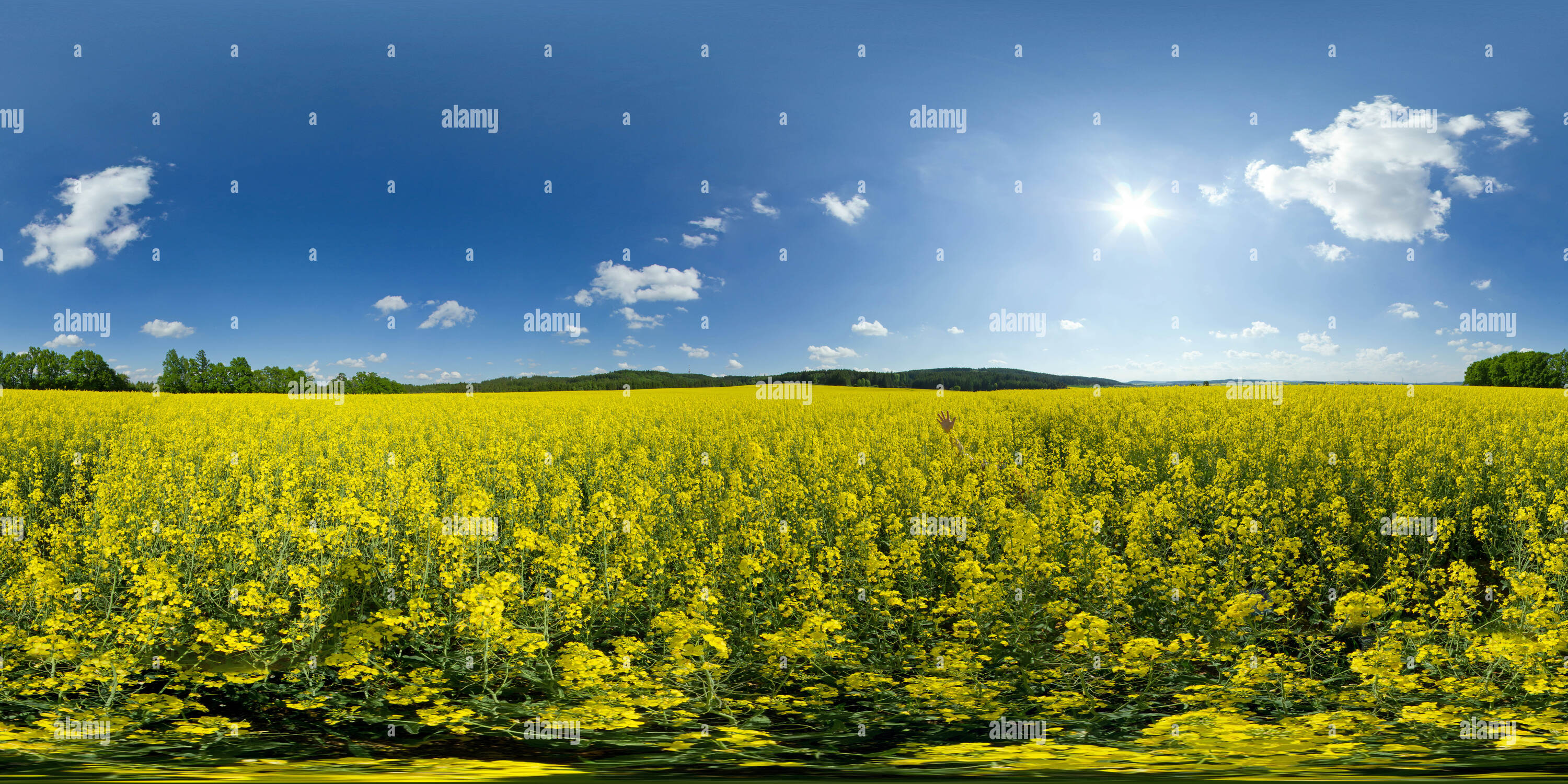 360° view of Lost in the yelow sea - Alamy