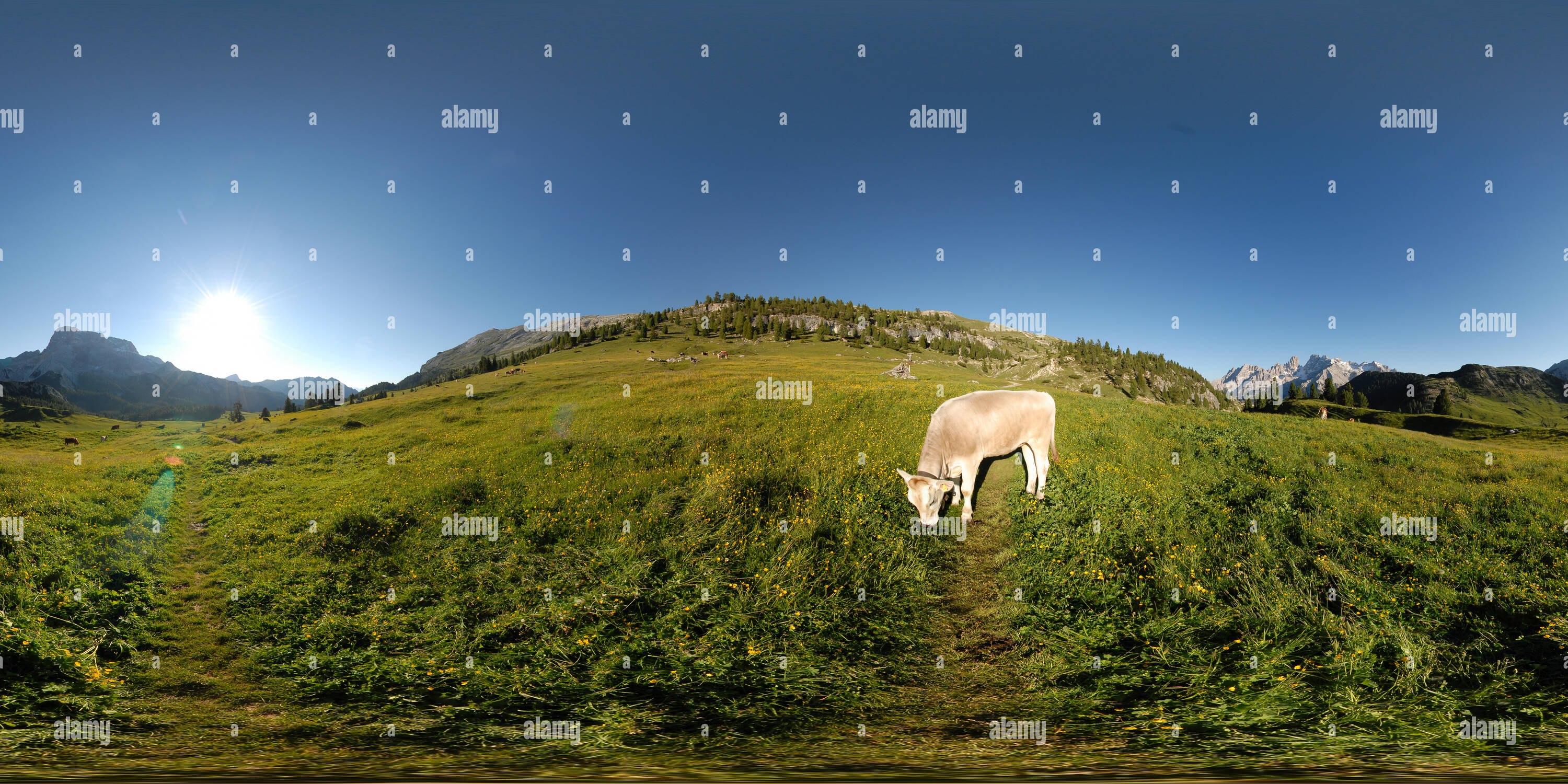 Prato piazza plaetzwiese hi-res stock photography and images - Alamy