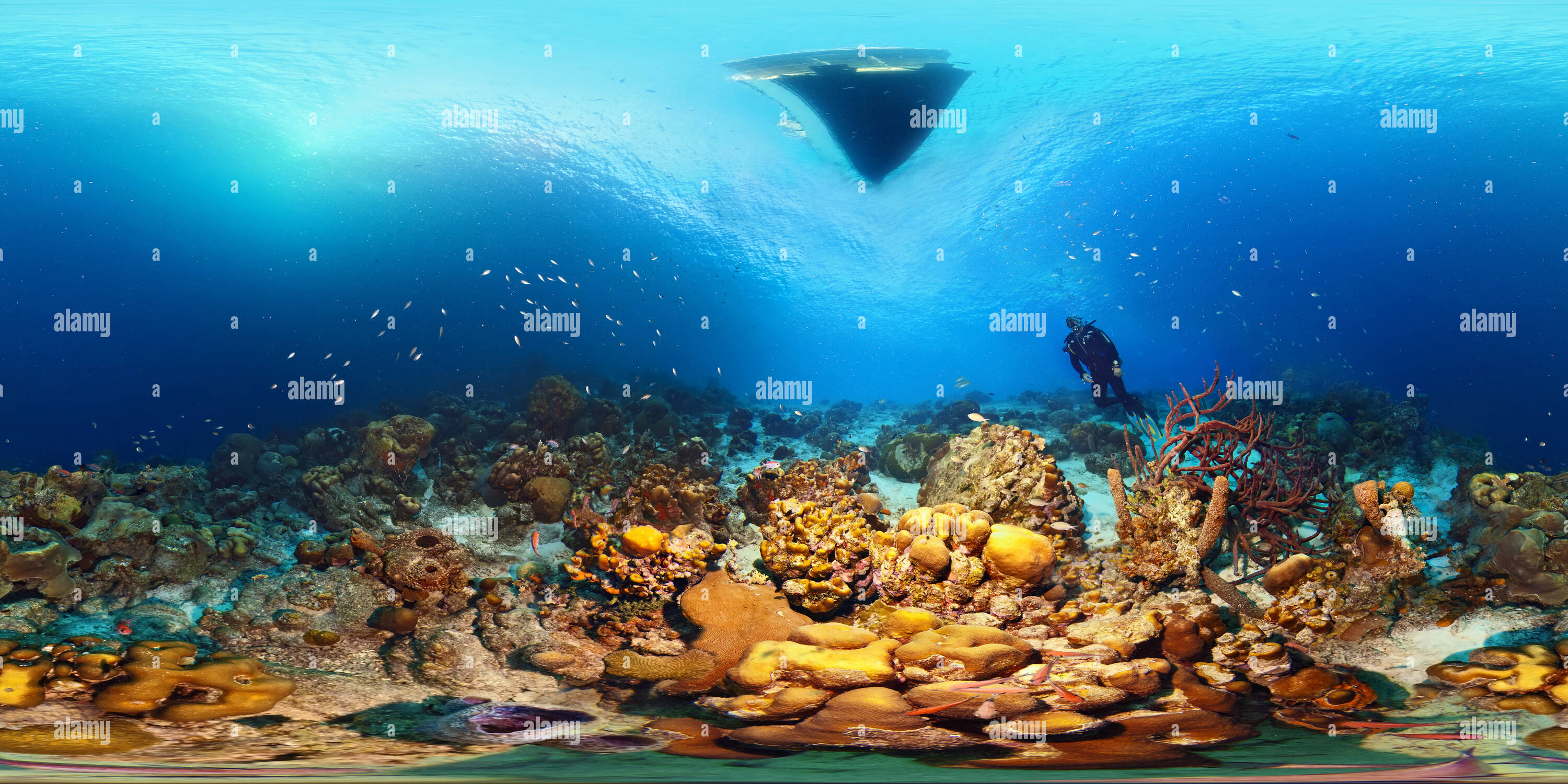 360° view of Captain Don's dive point - Alamy