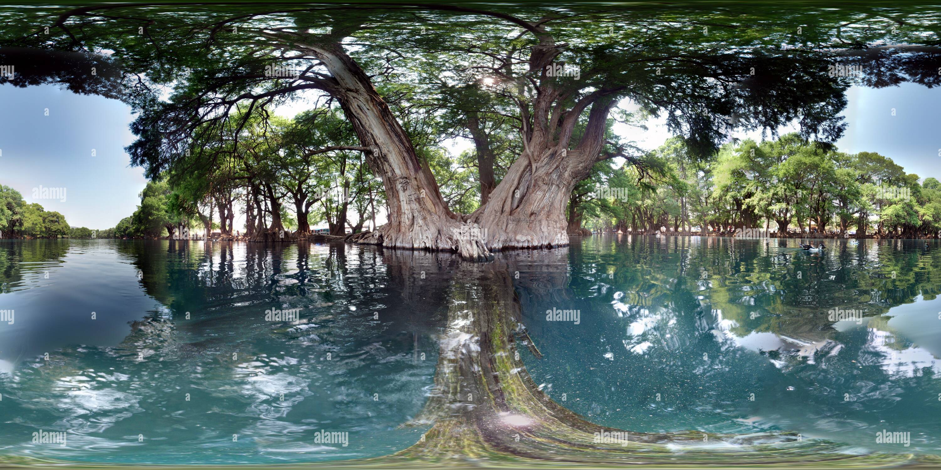 360 panorámica hi-res stock photography and images - Alamy