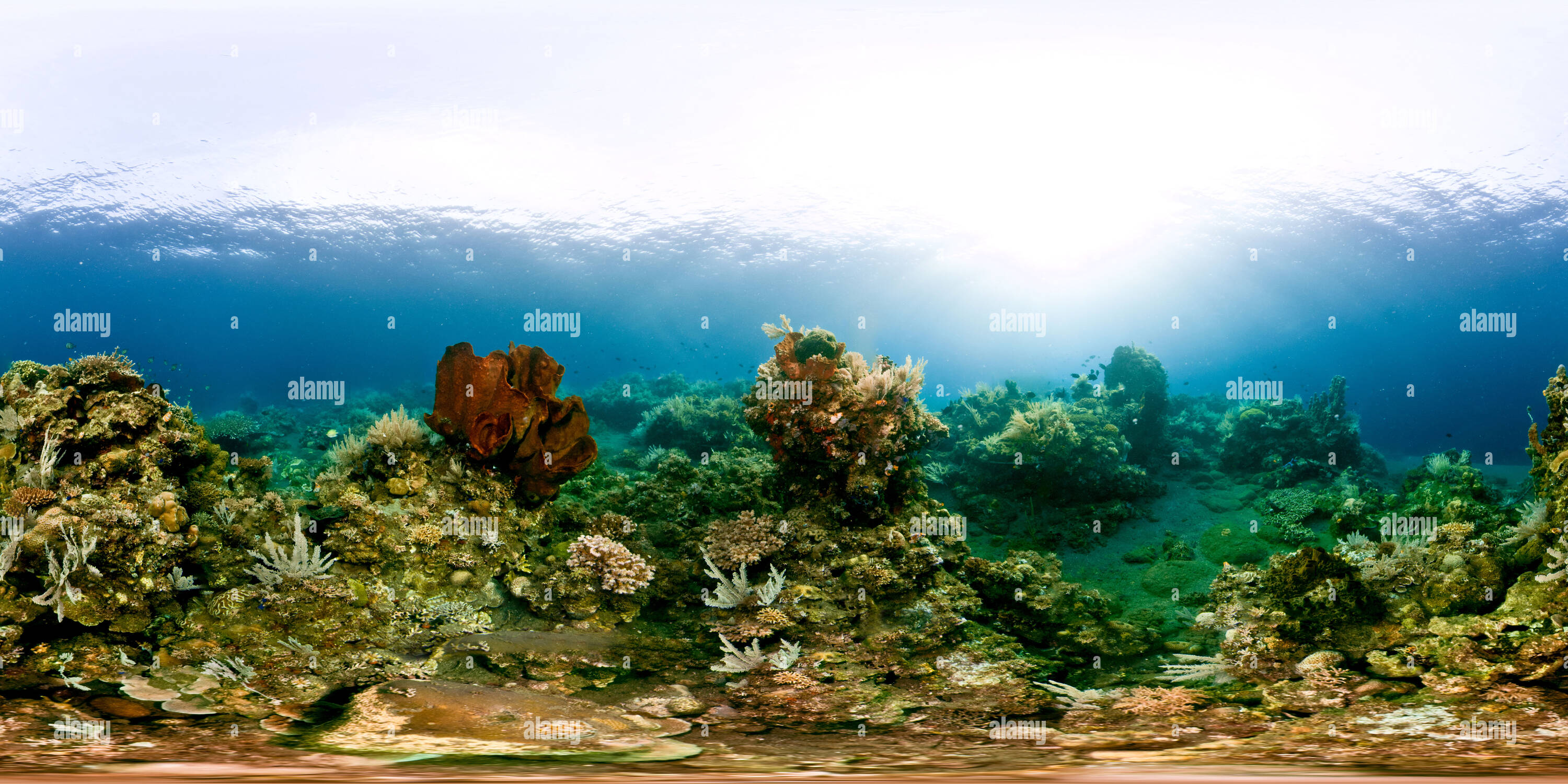 Mapia resort hi-res stock photography and images - Alamy