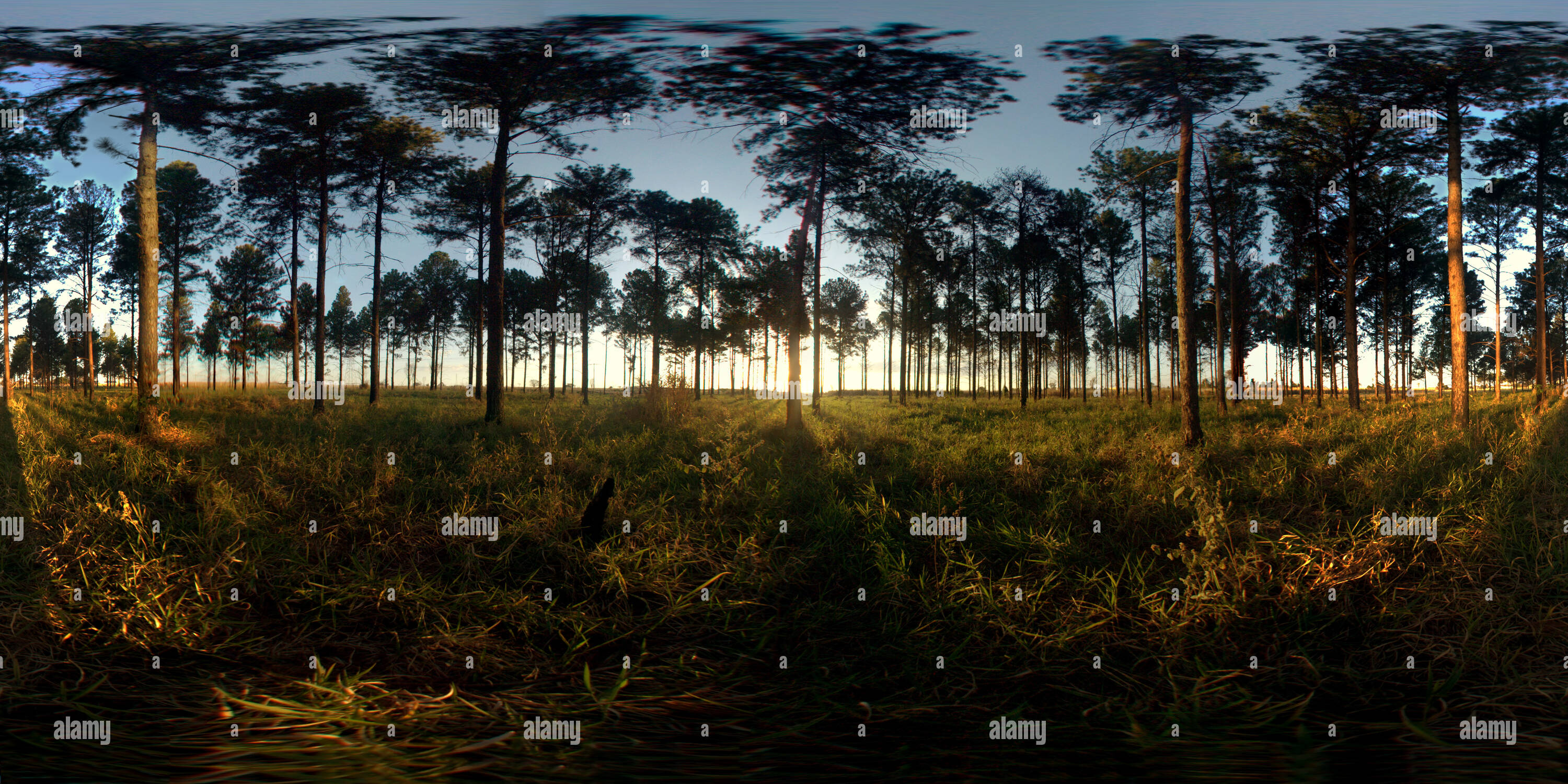 360° view of Pine Bush Sunset - Alamy