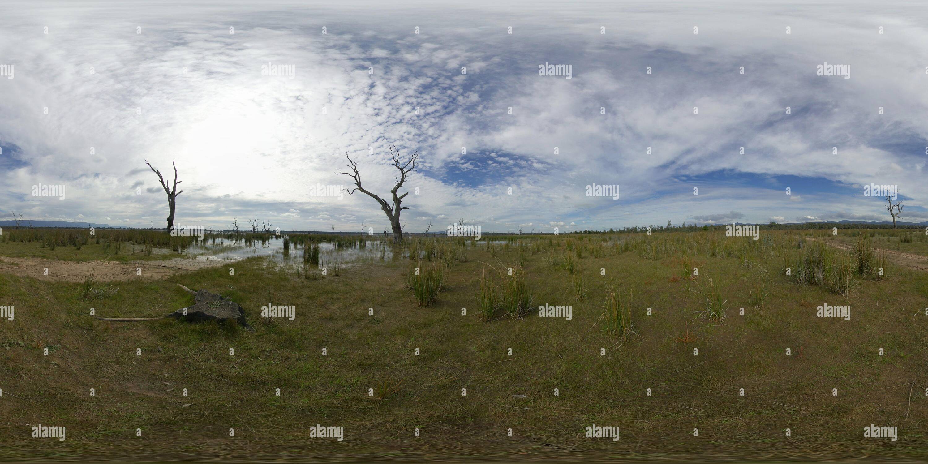 Fyans hi-res stock photography and images - Alamy