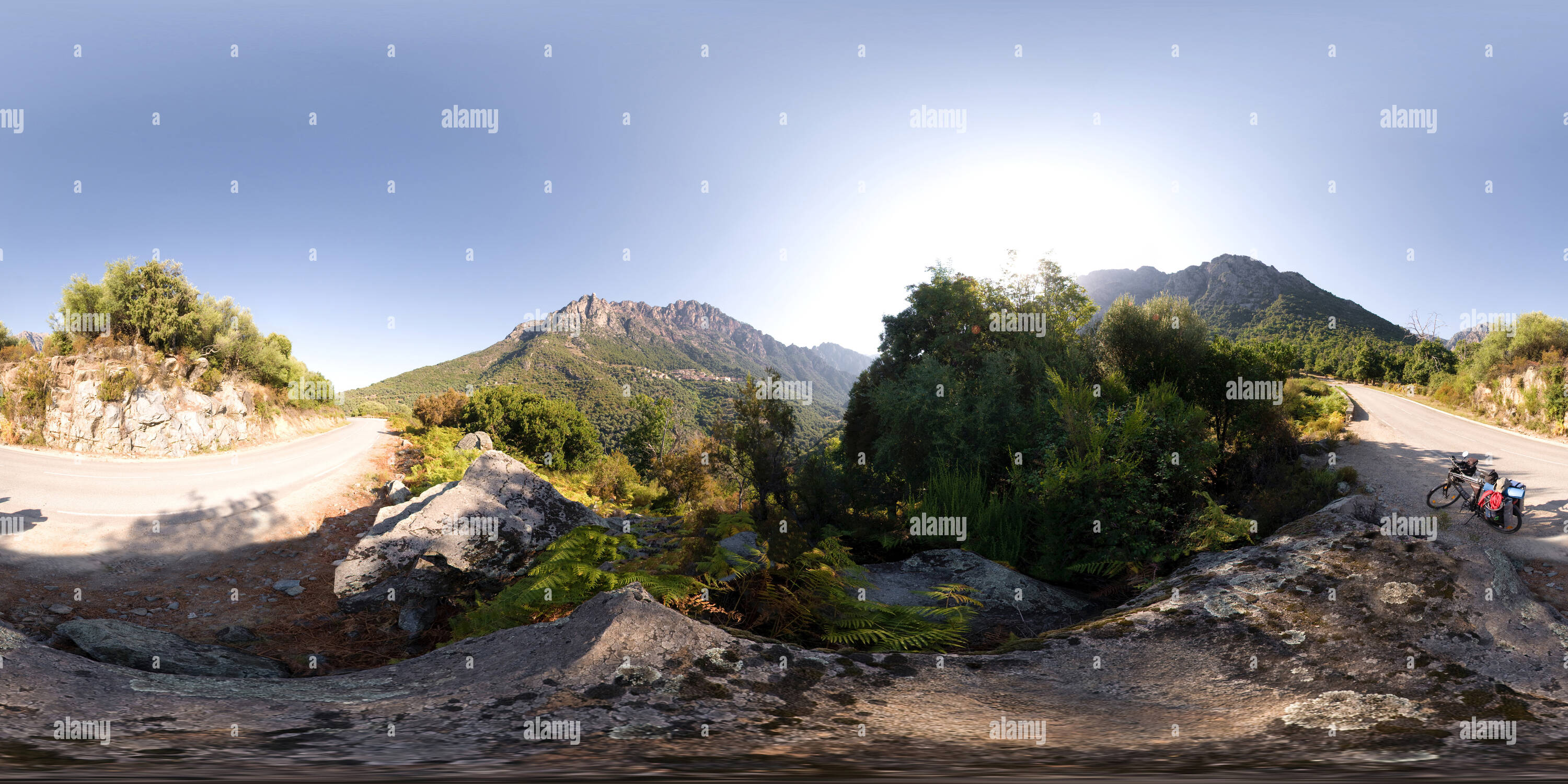 Ota corse hi-res stock photography and images - Alamy