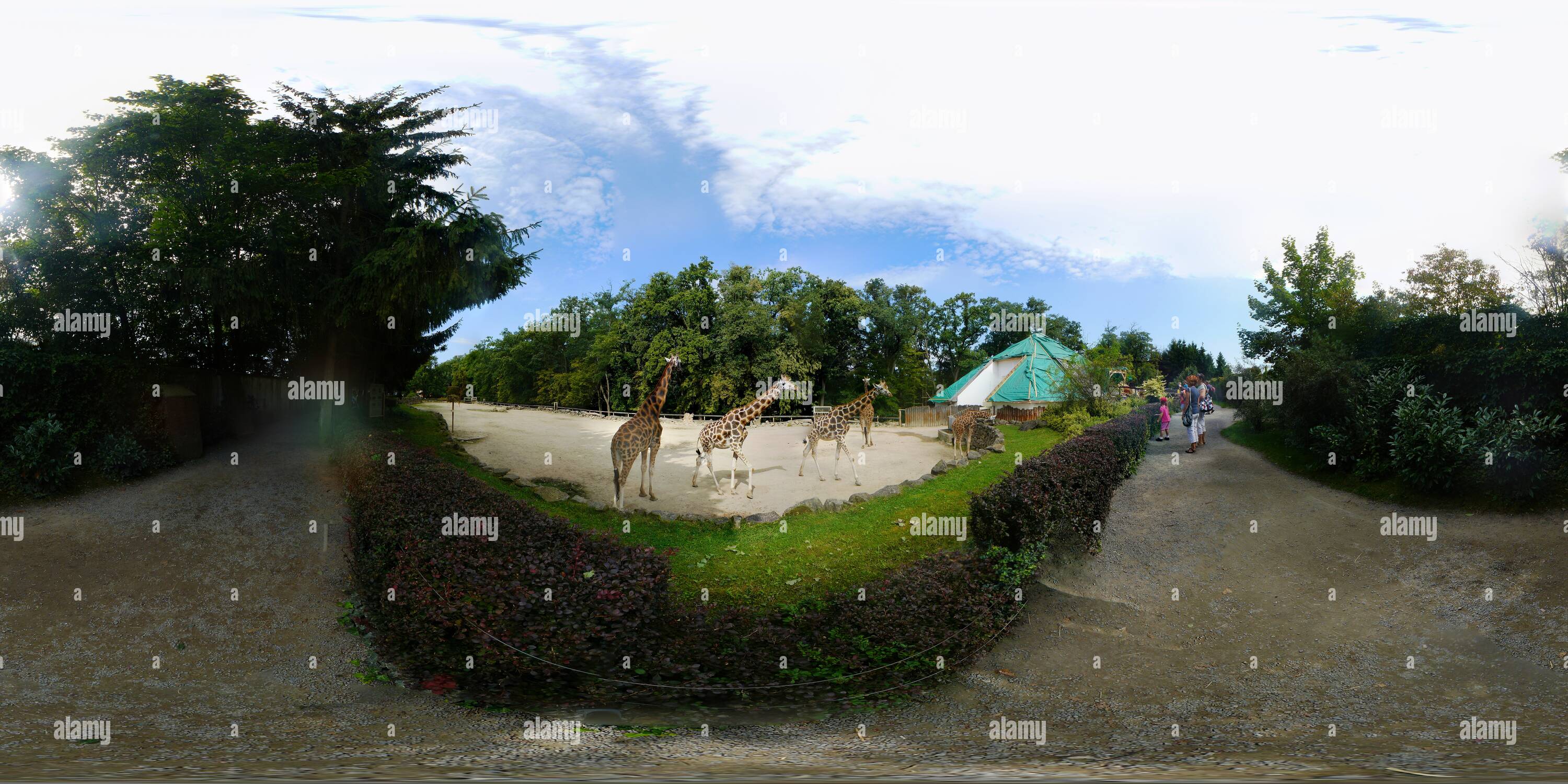 Zoo zlin hi-res stock photography and images - Alamy