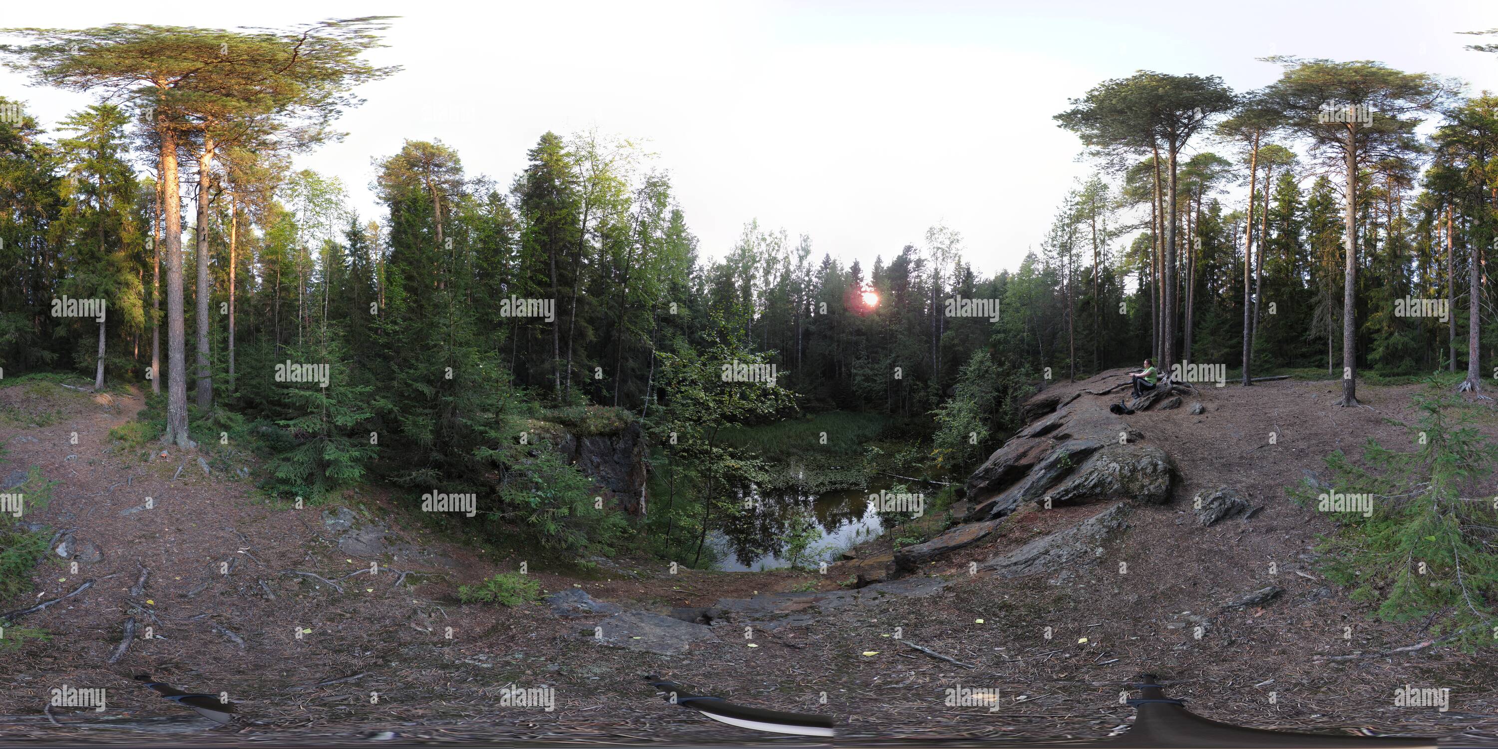 360° view of Old quarry in forest - Alamy