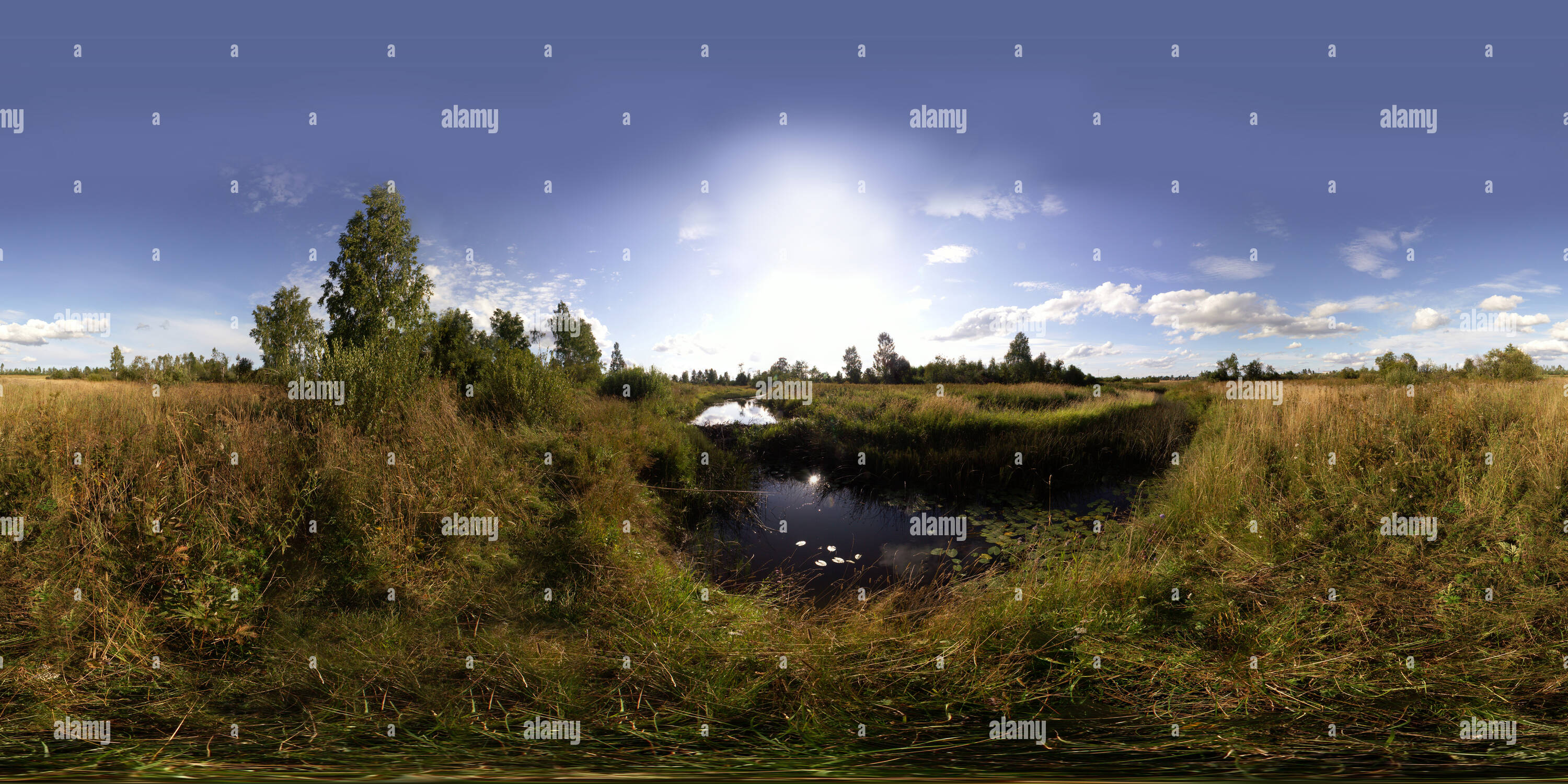 360° view of Beavers dam on Kozinka river, aug2011 - Alamy