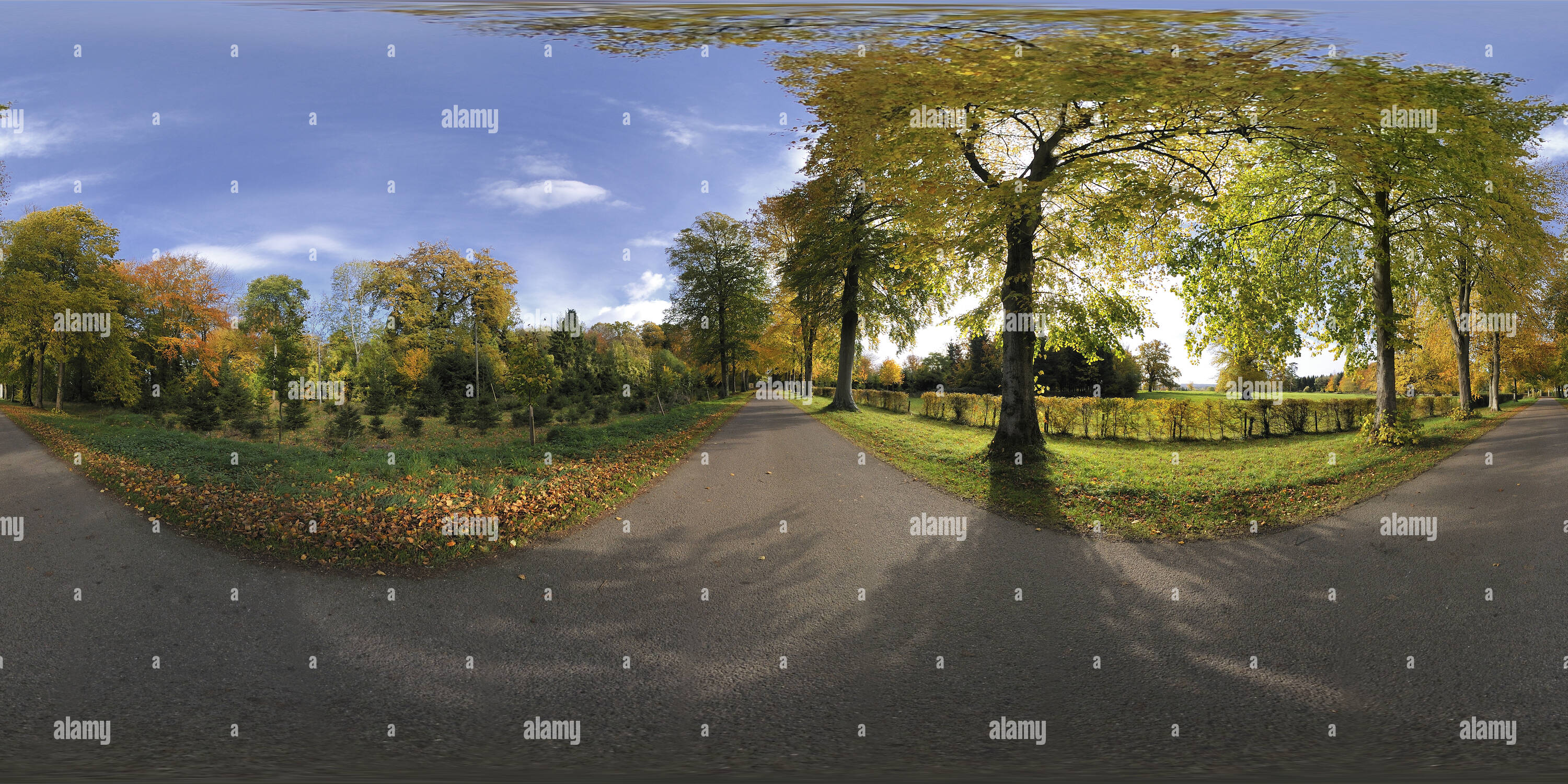 Kilmersdon hi-res stock photography and images - Alamy