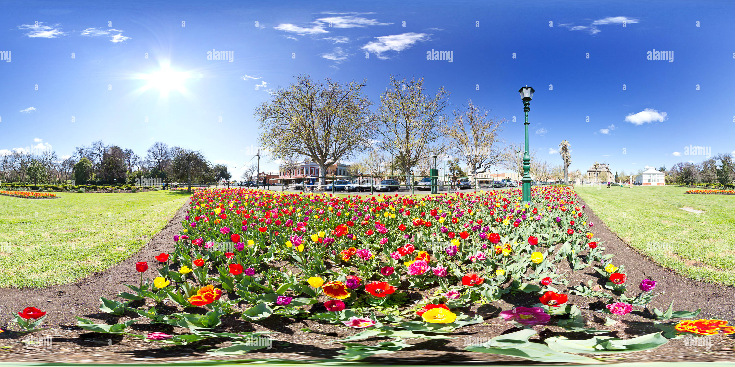 360° view of Bendigo Conservatory Gardens - Tulip beds in bloom - Alamy