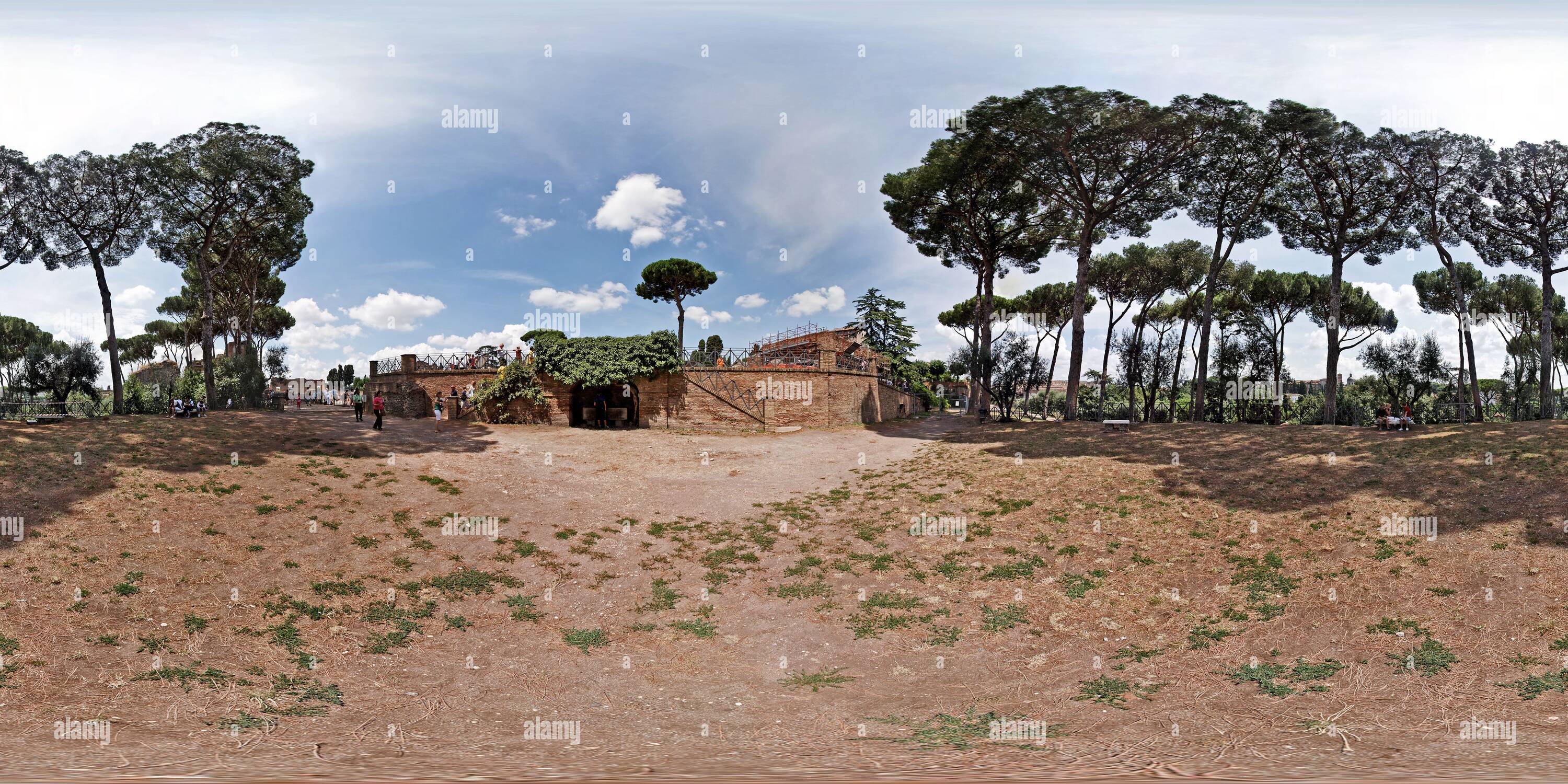 360° view of Roma, Pine Trees on Palatine Hill - Alamy
