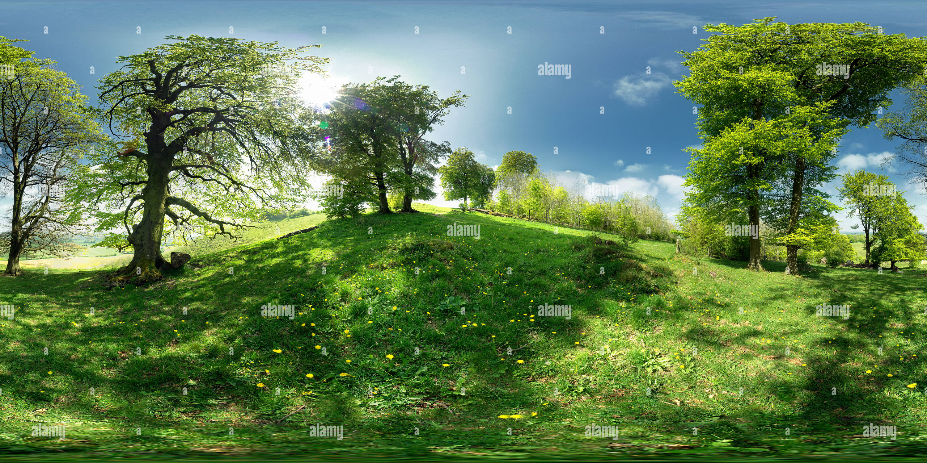 360° view of A classic English landscape at Marlborough Downs ...