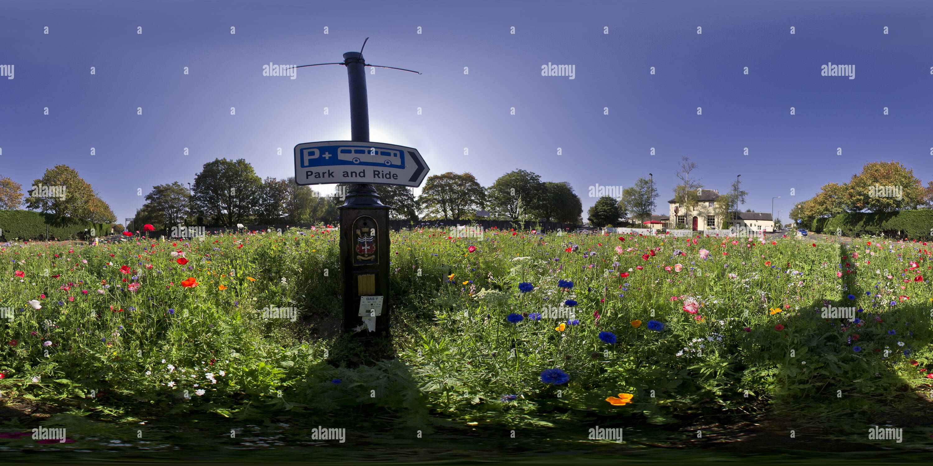 360° view of Is this the most beautiful vehicle roundabout in Britain ...